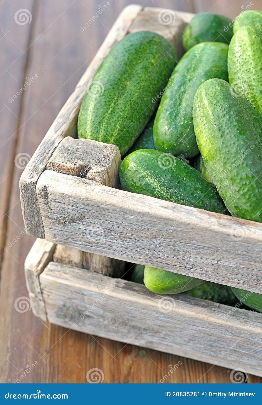 Cucumbers in a box stock image. Image of table, wooden - 20835281