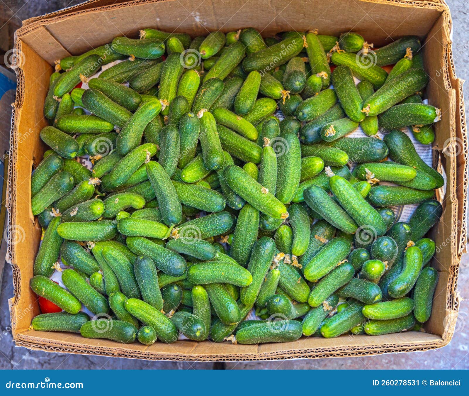 Cucumbers in Box stock image. Image of green, produce - 260278531