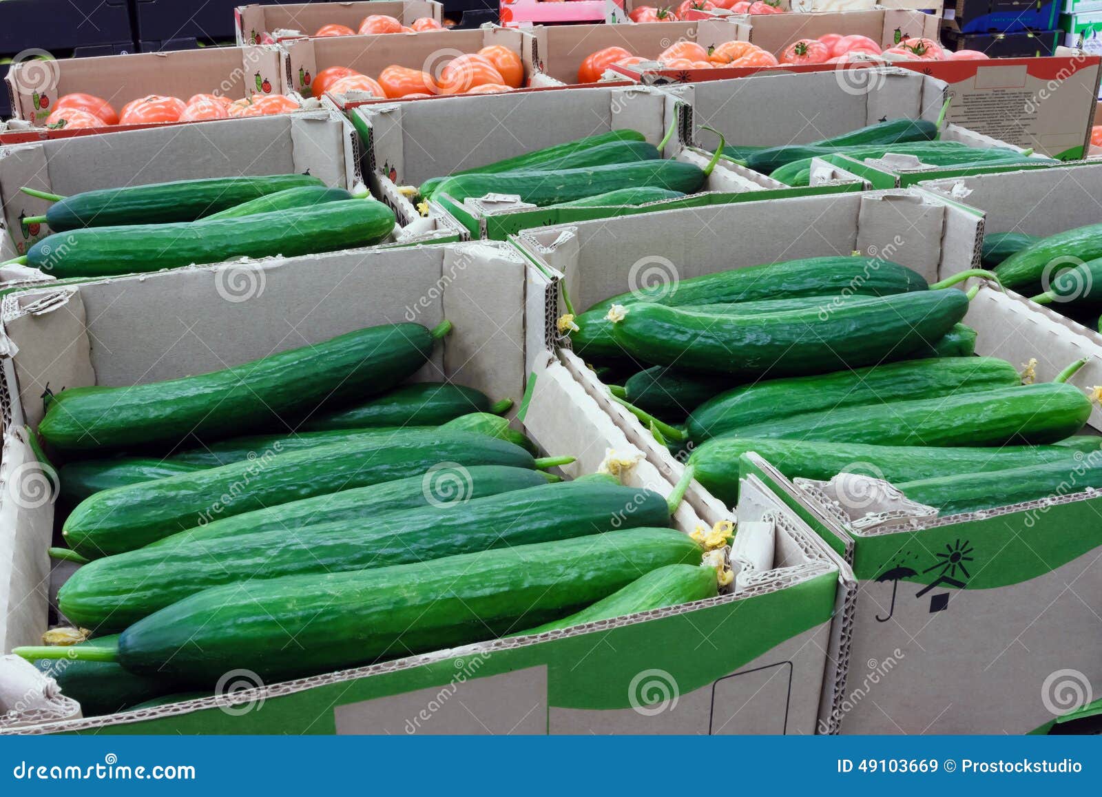 Cucumbers in the boxes stock image. Image of juicy, package - 49103669