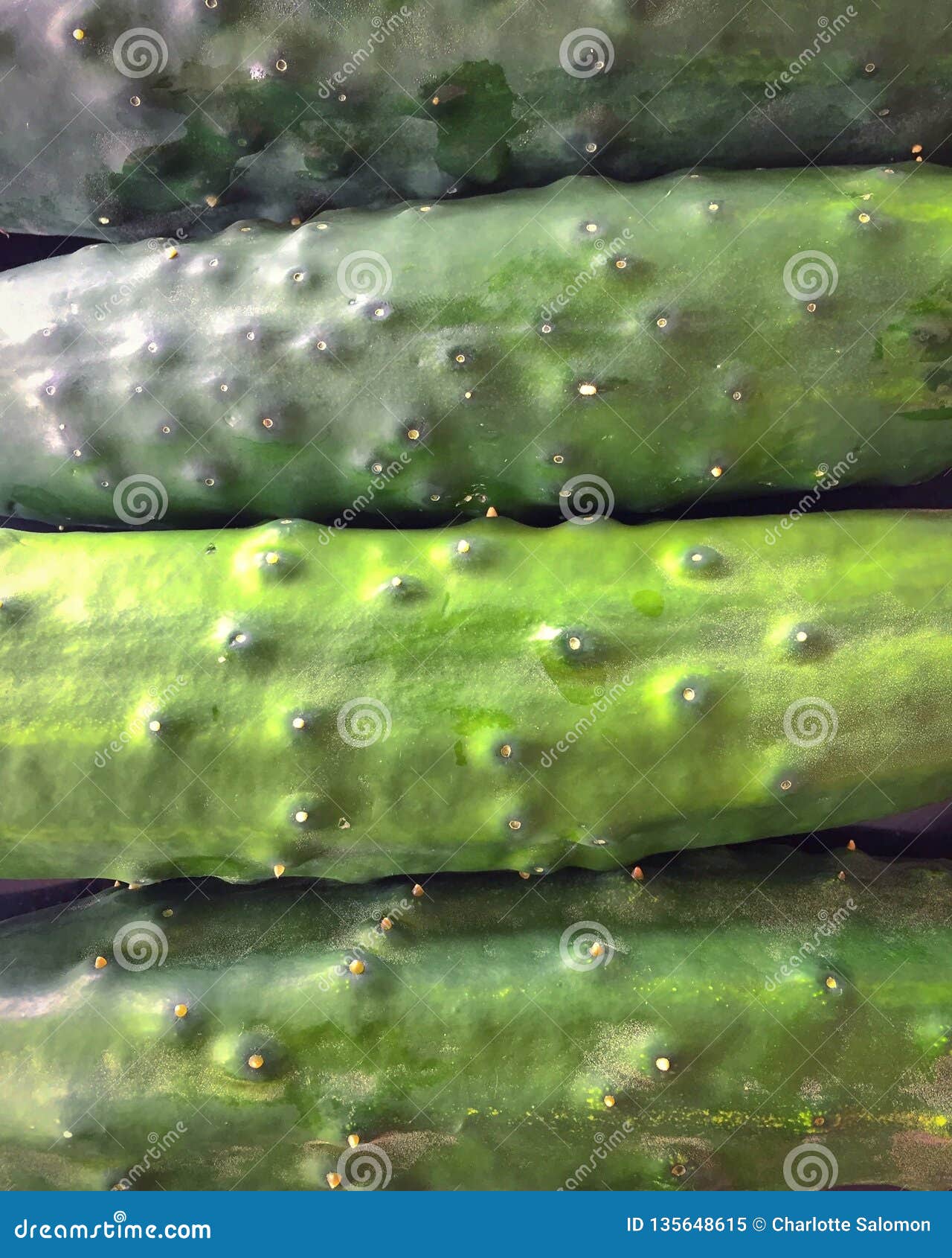 Cucumbers close up texture stock image. Image of freshly - 135648615