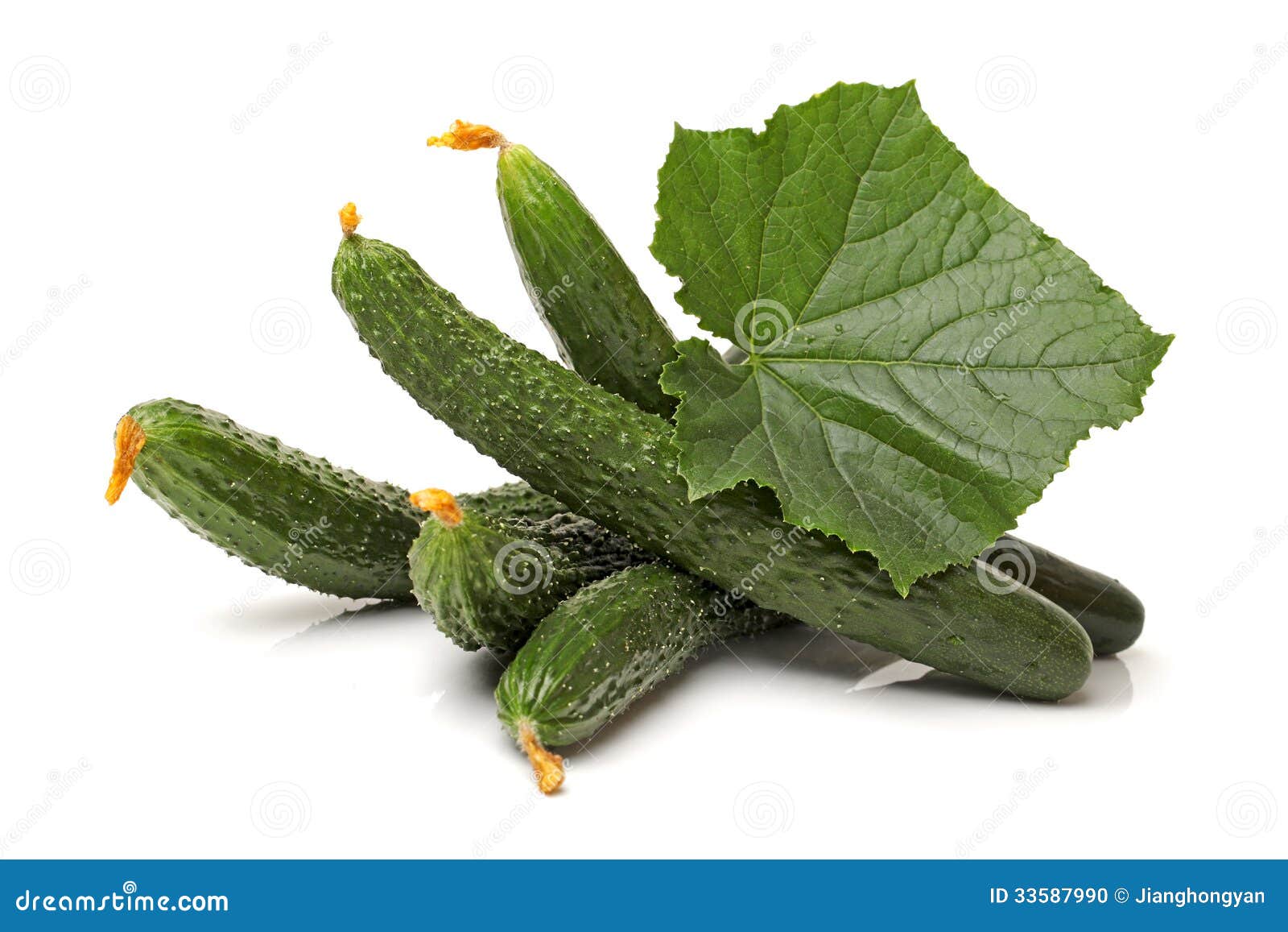 Cucumbers stock photo. Image of freshness, vegetarian - 33587990
