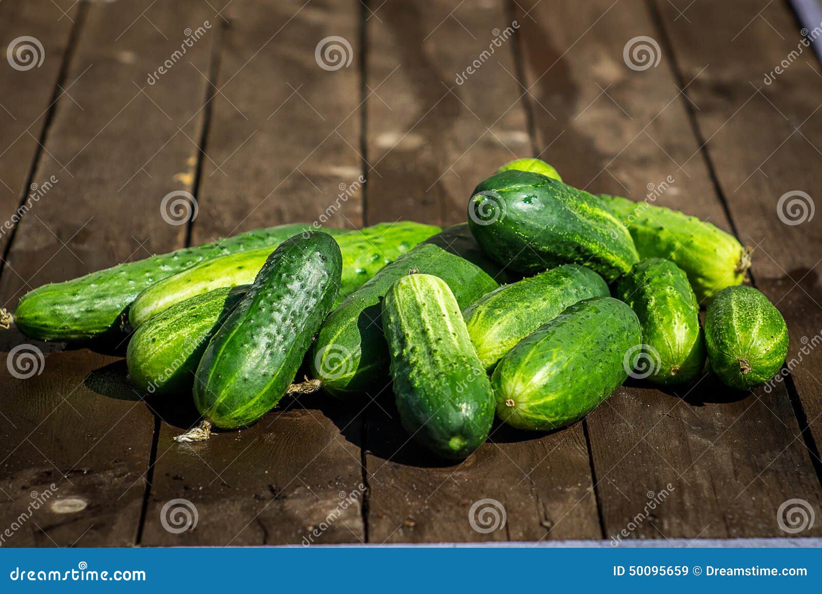 Cucumbers stock image. Image of giving, harvest, summer - 50095659