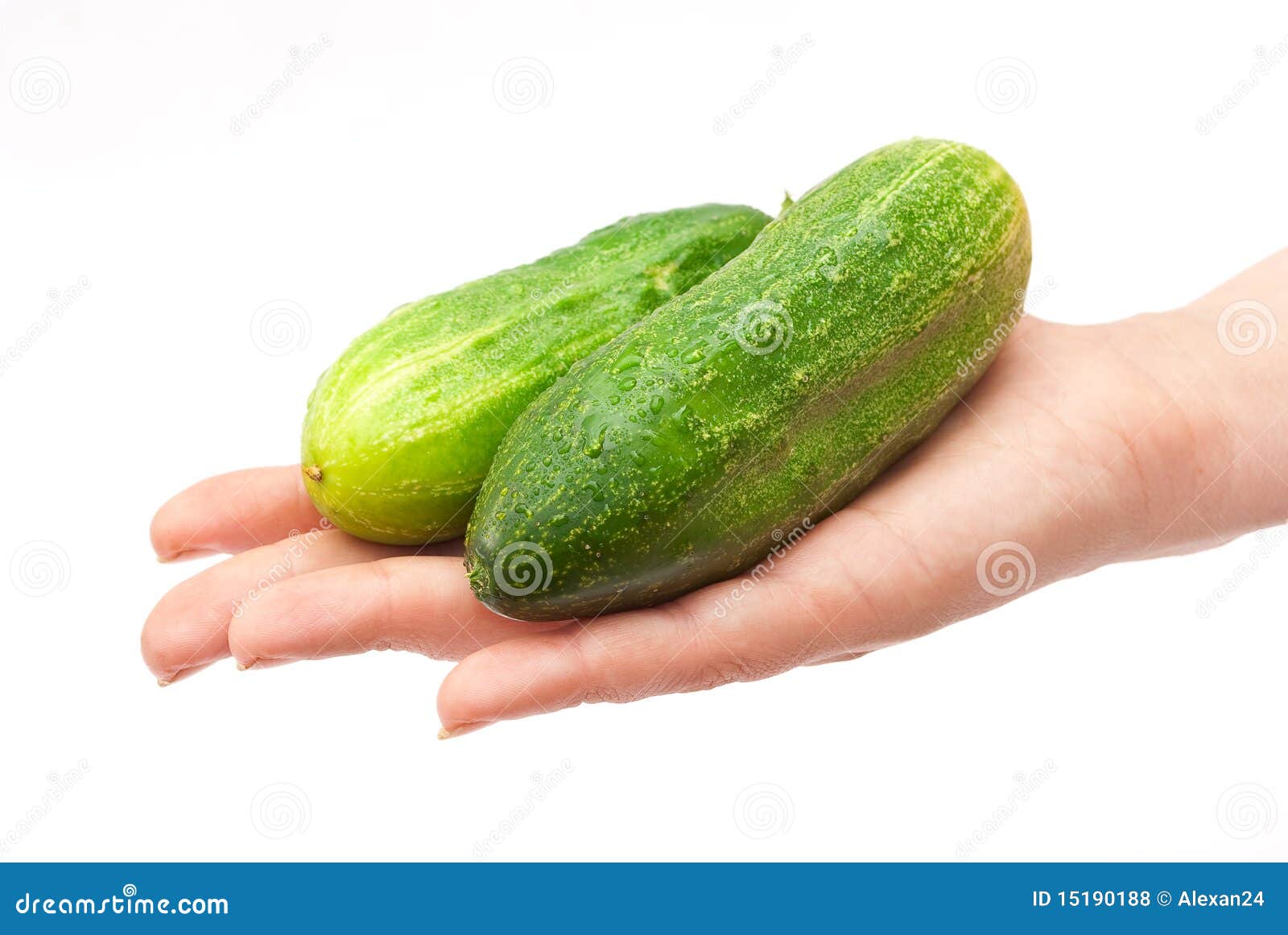Cucumbers on hand stock photo. Image of finger, plant - 15190188