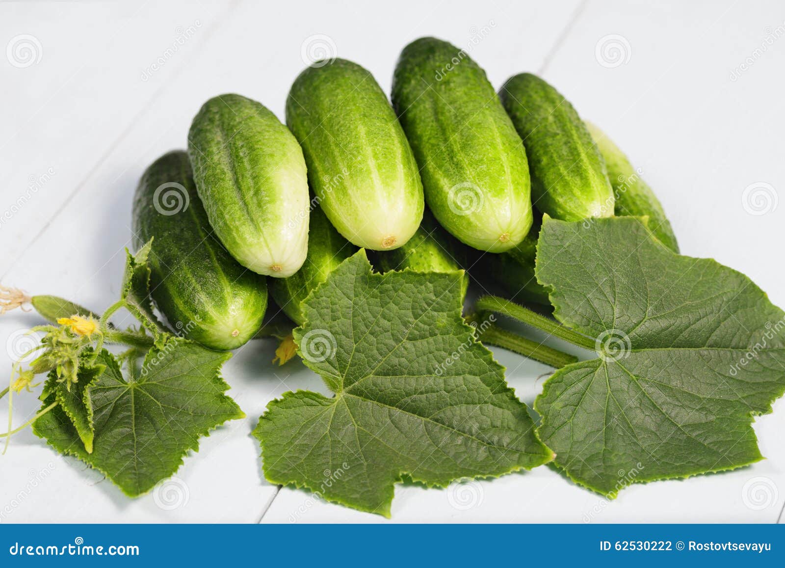 Cucumbers with Leaves on Wooden Table Stock Photo - Image of leaf ...