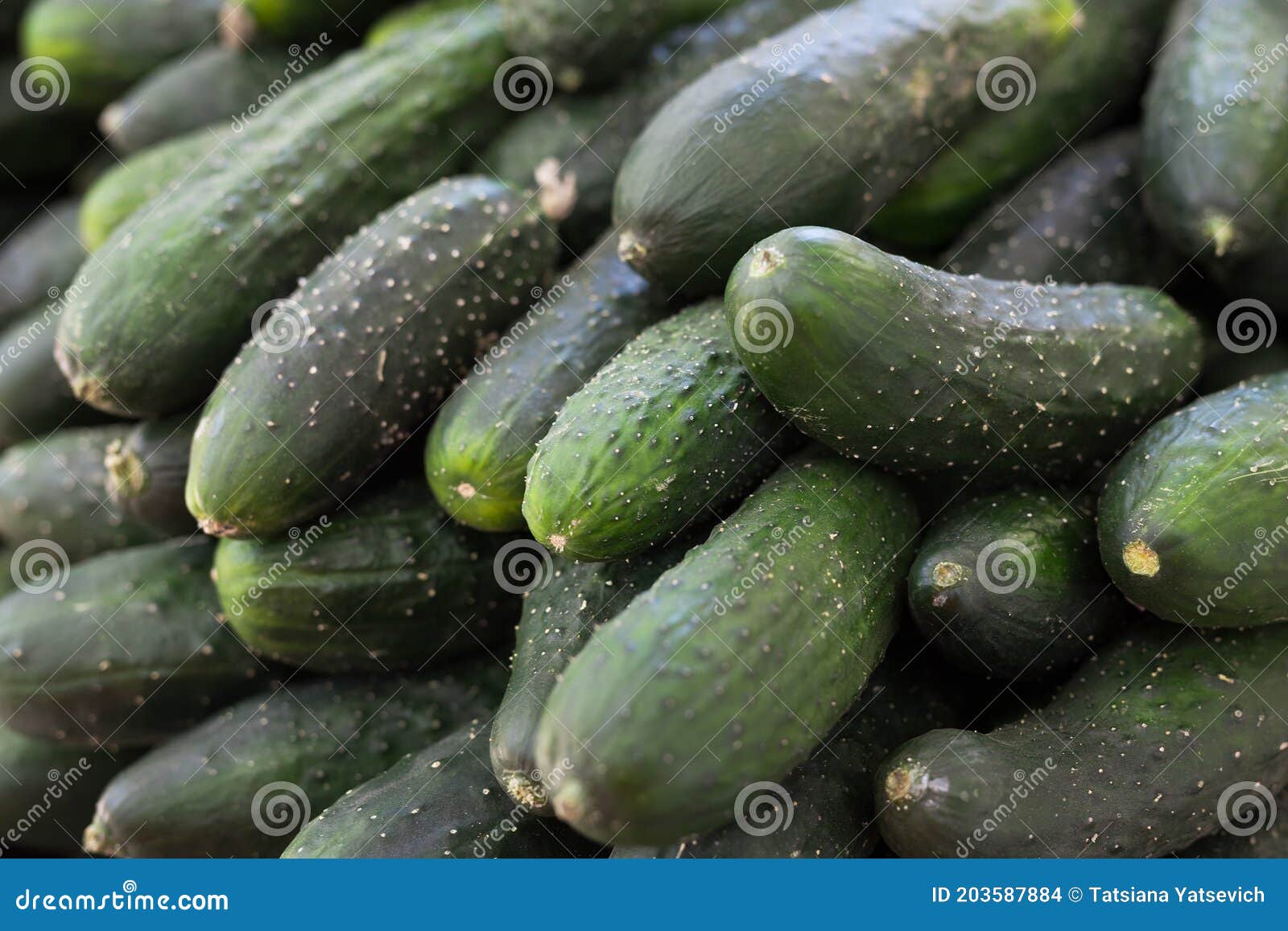 Cucumbers on Market Counter in Wicker Basket Stock Photo - Image of ...