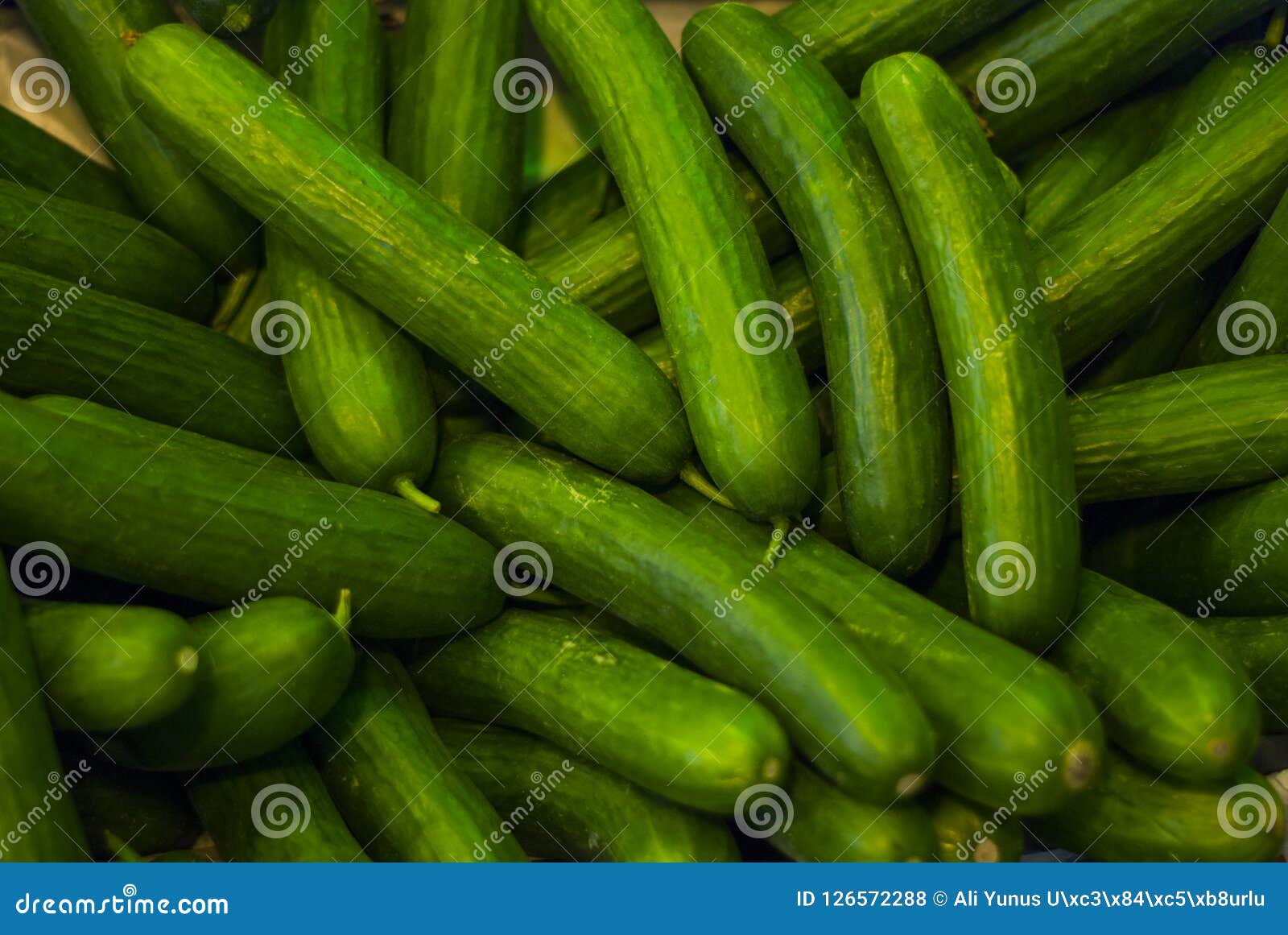 Cucumbers on stand stock photo. Image of traditional - 126572288