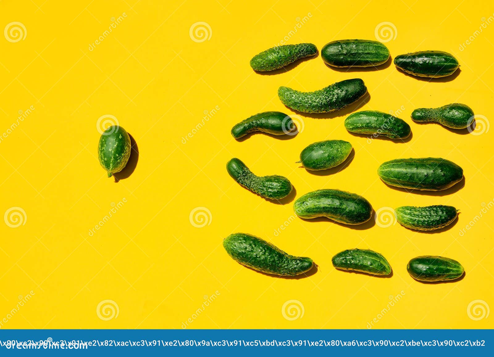 Cucumbers Symbolizes the Process of Fertilization of the Ovum by the ...
