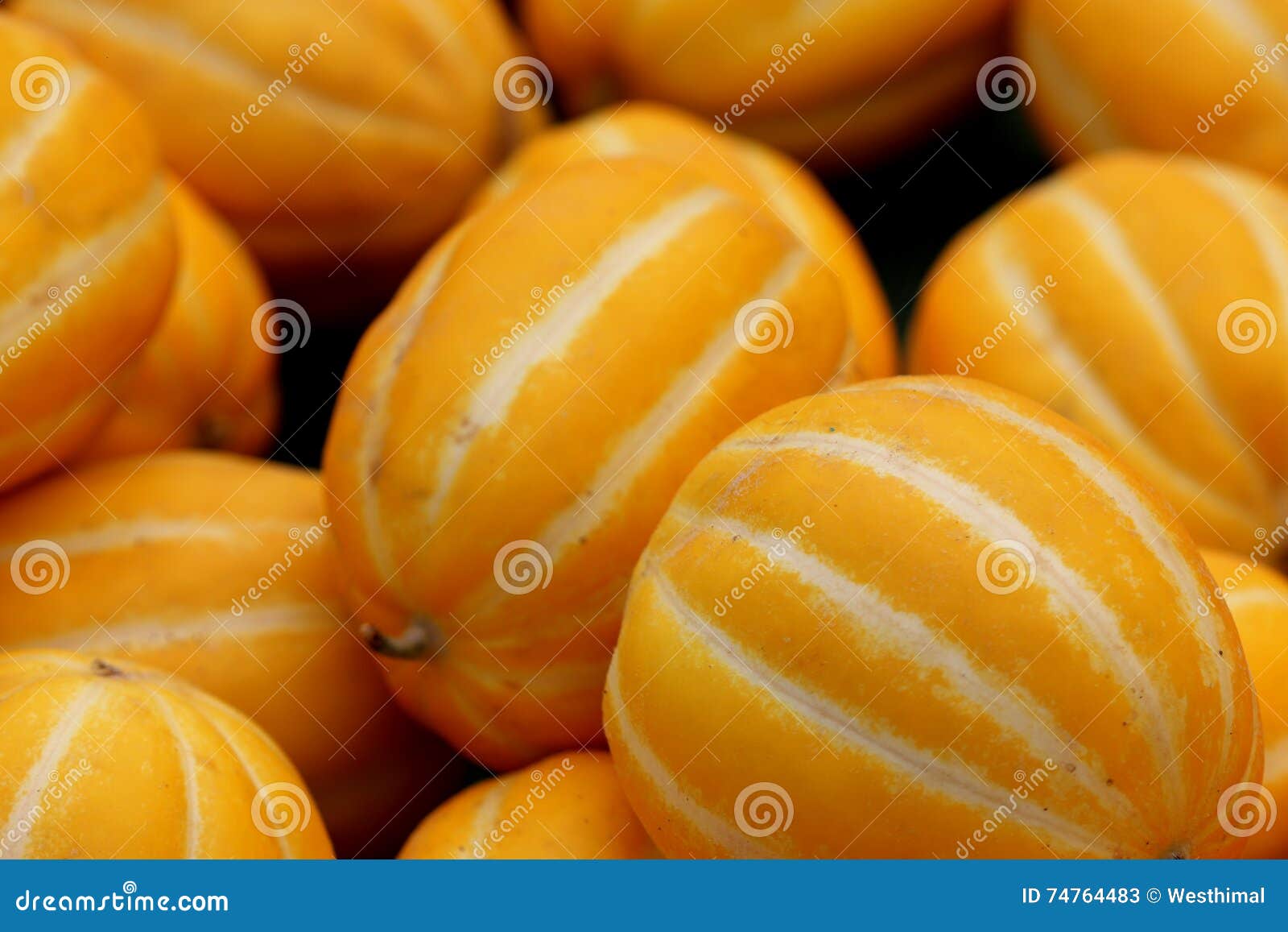 Cucumis Melo Var Conomon, Koreanische Sternmelone Stockbild - Bild von ...