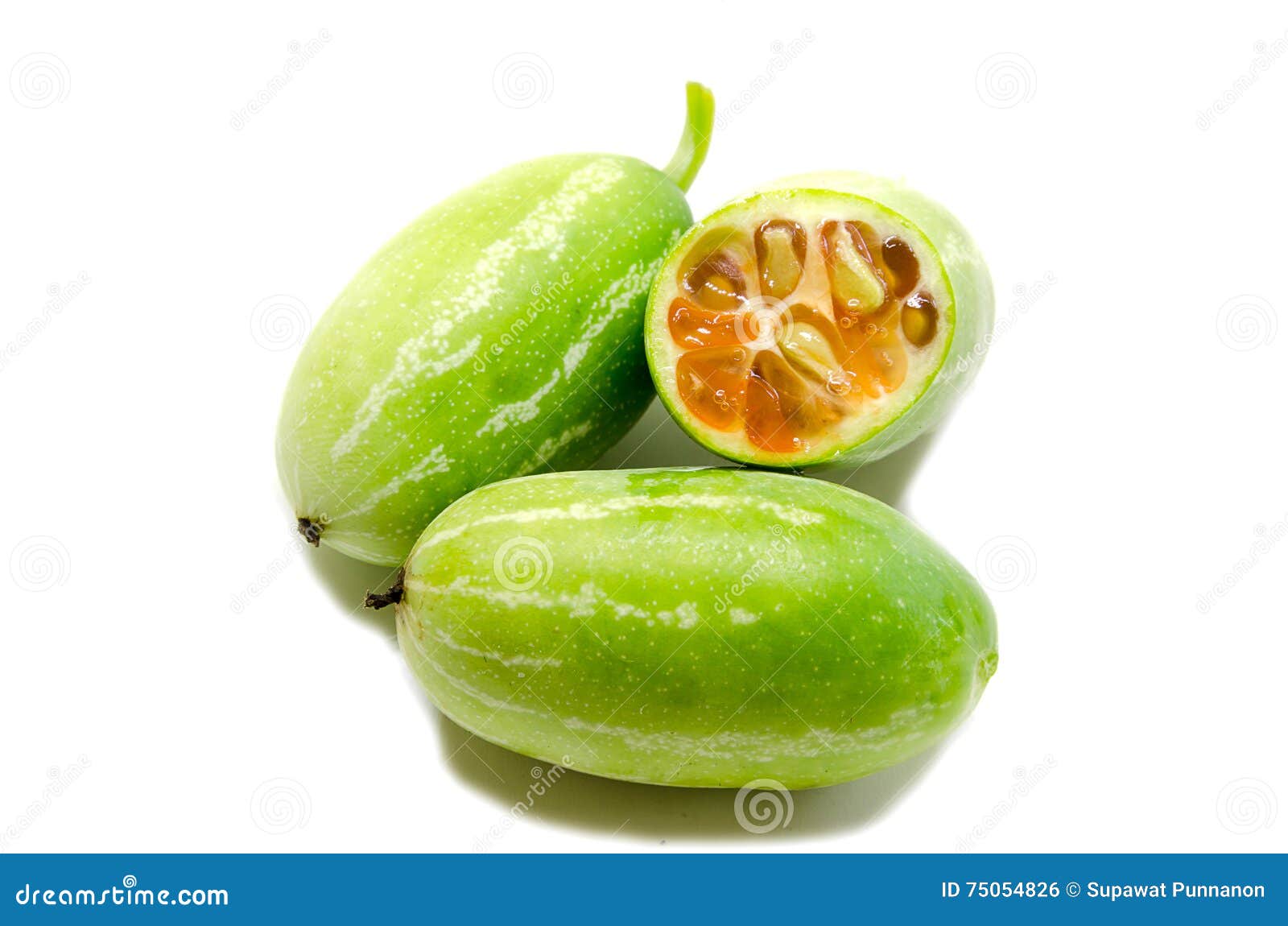 Cucurbitaceae stock photo. Image of plant, thailand, food - 75054826