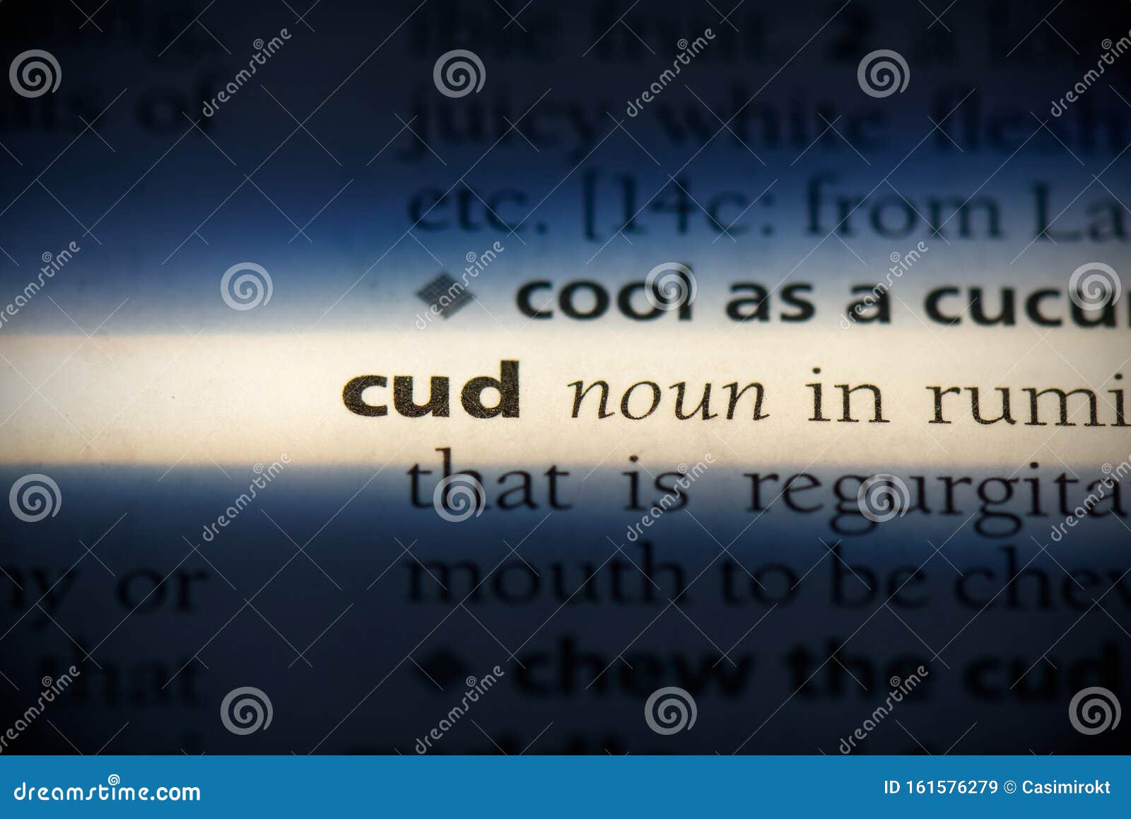 Cud stock image. Image of linguistic, paper, learn, etymology - 161576279