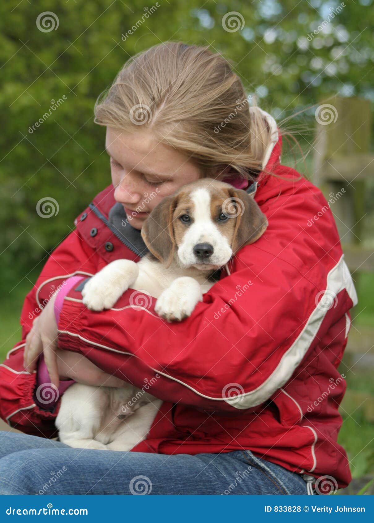 Cuddly Puppy Picture. Image: 833828