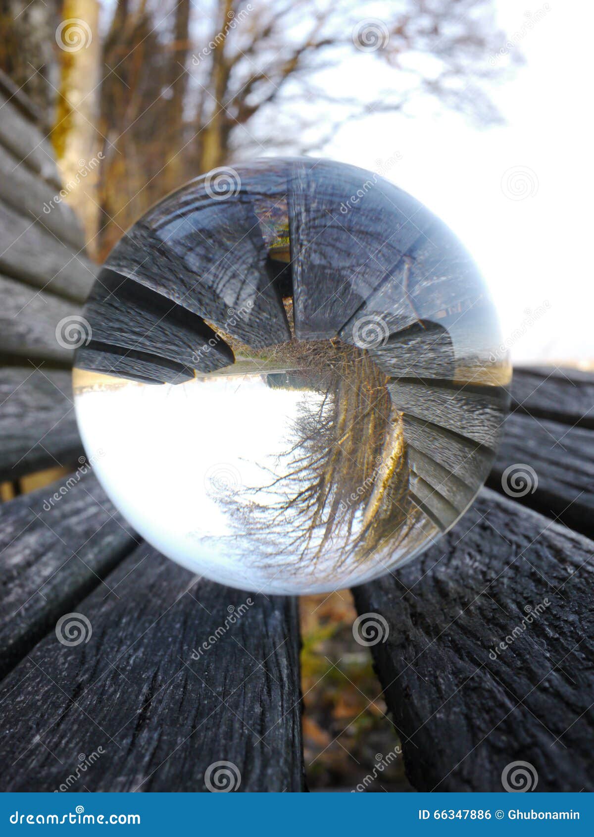 Cuenco En La Madera Que Es Espejo Invertido Foto de archivo - Imagen de ...