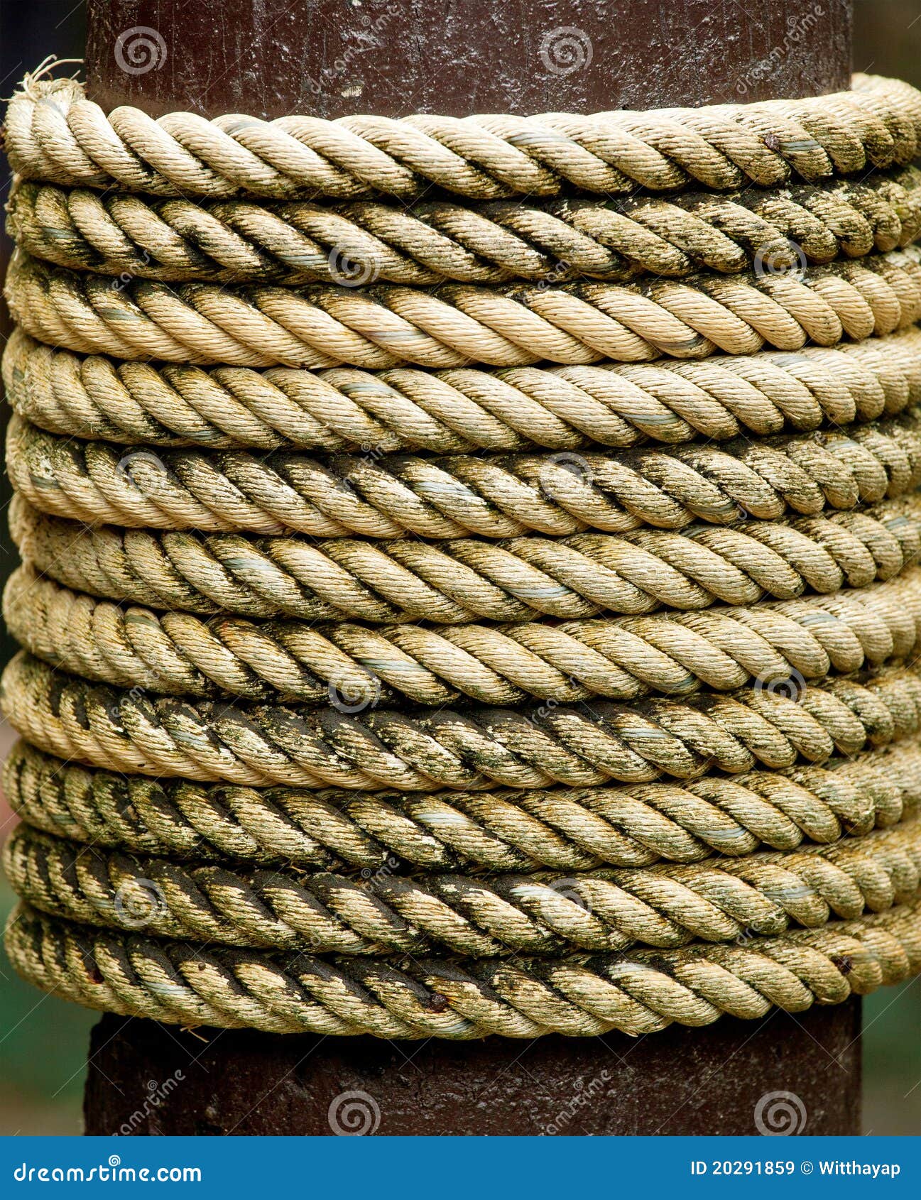 Cuerda atada imagen de archivo. Imagen de cortina, cubo - 20291859