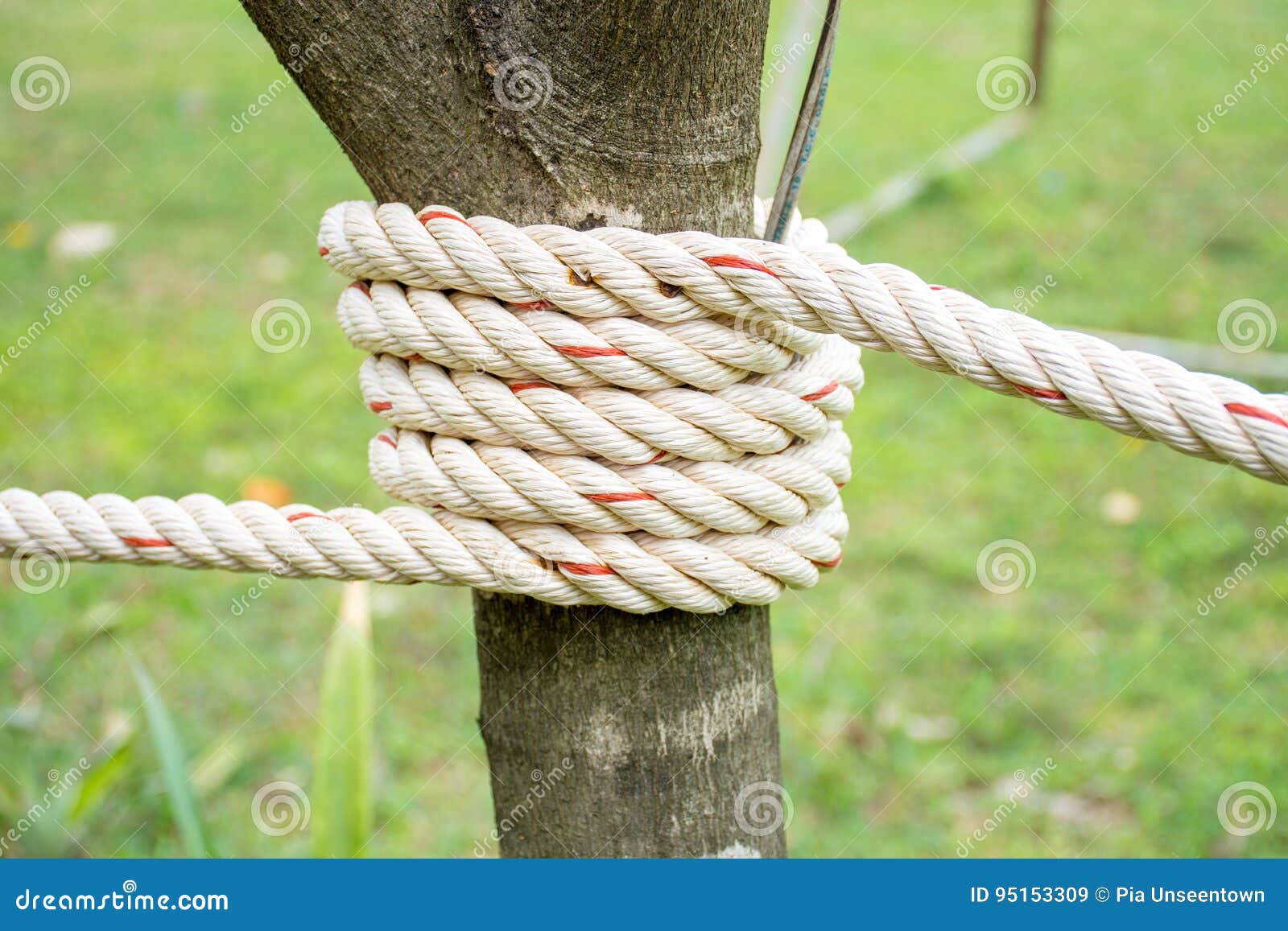Cuerda atada al polo imagen de archivo. Imagen de verde - 95153309