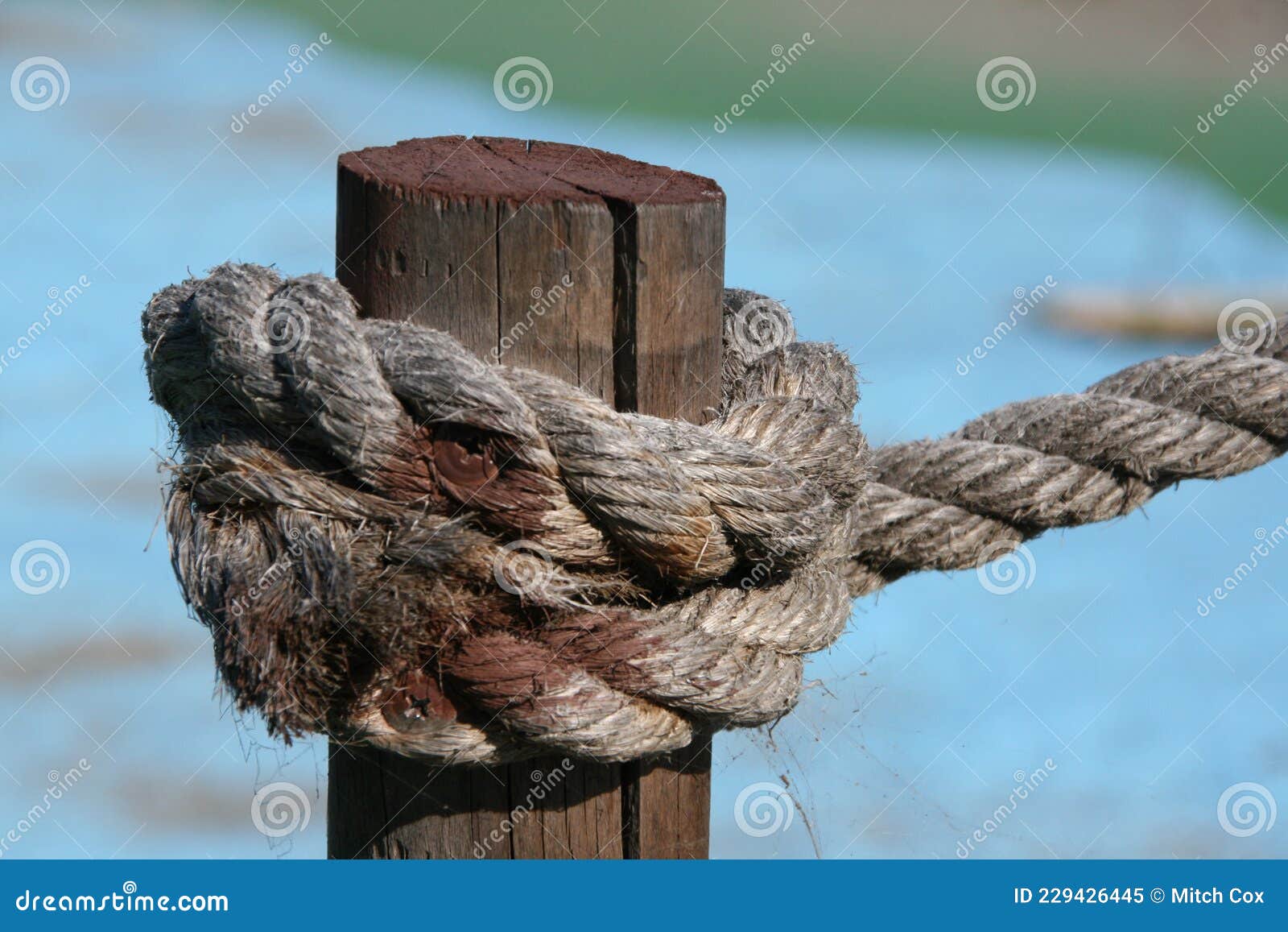 Cuerda atada al poste 1 imagen de archivo. Imagen de madera - 229426445