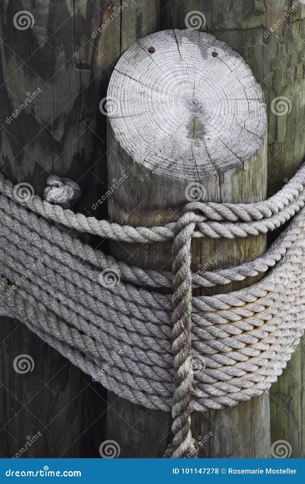 Cuerda Atada a Los Posts Del Muelle Foto de archivo - Imagen de ...