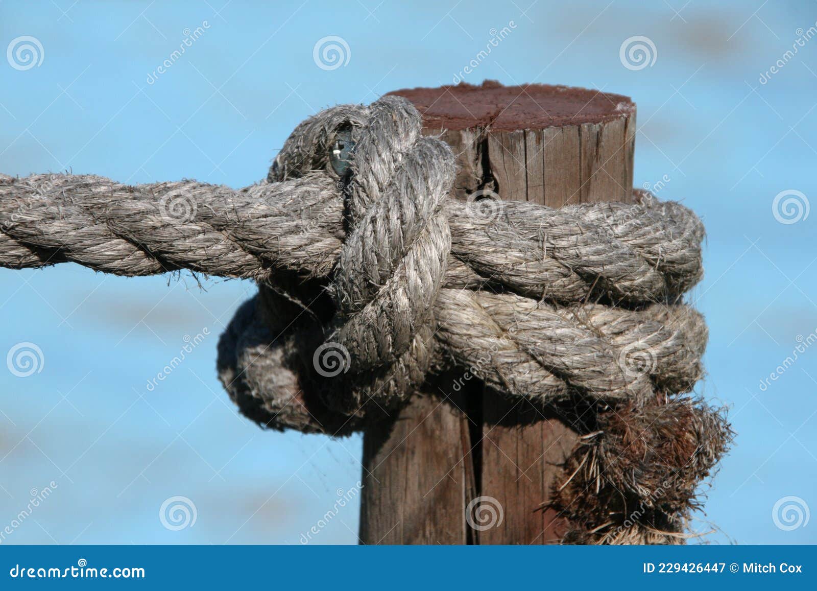 Cuerda atada a poste 2 imagen de archivo. Imagen de nudo - 229426447