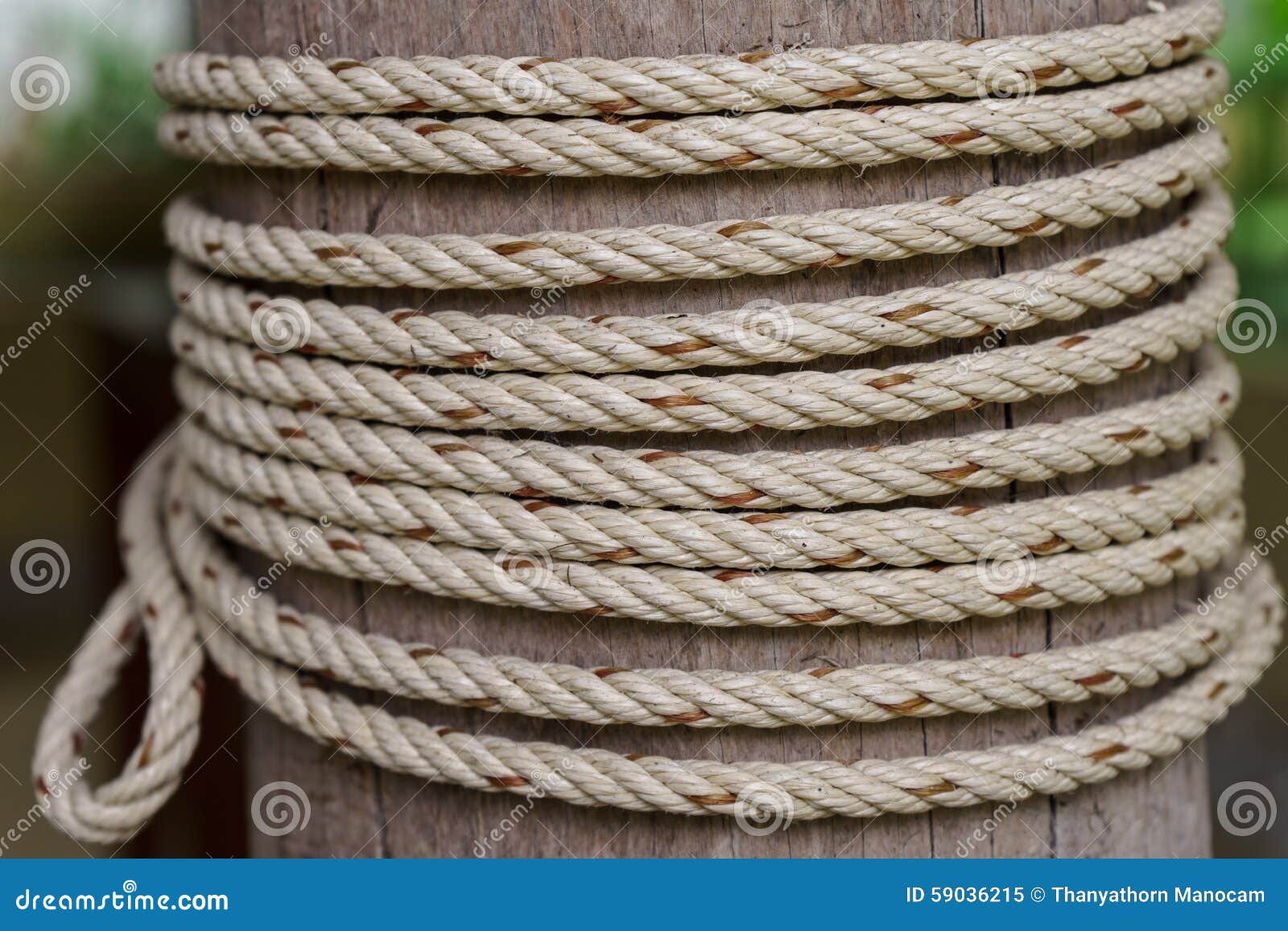 Cuerda Atada a Un Polo De Madera Imagen de archivo - Imagen de atracado ...