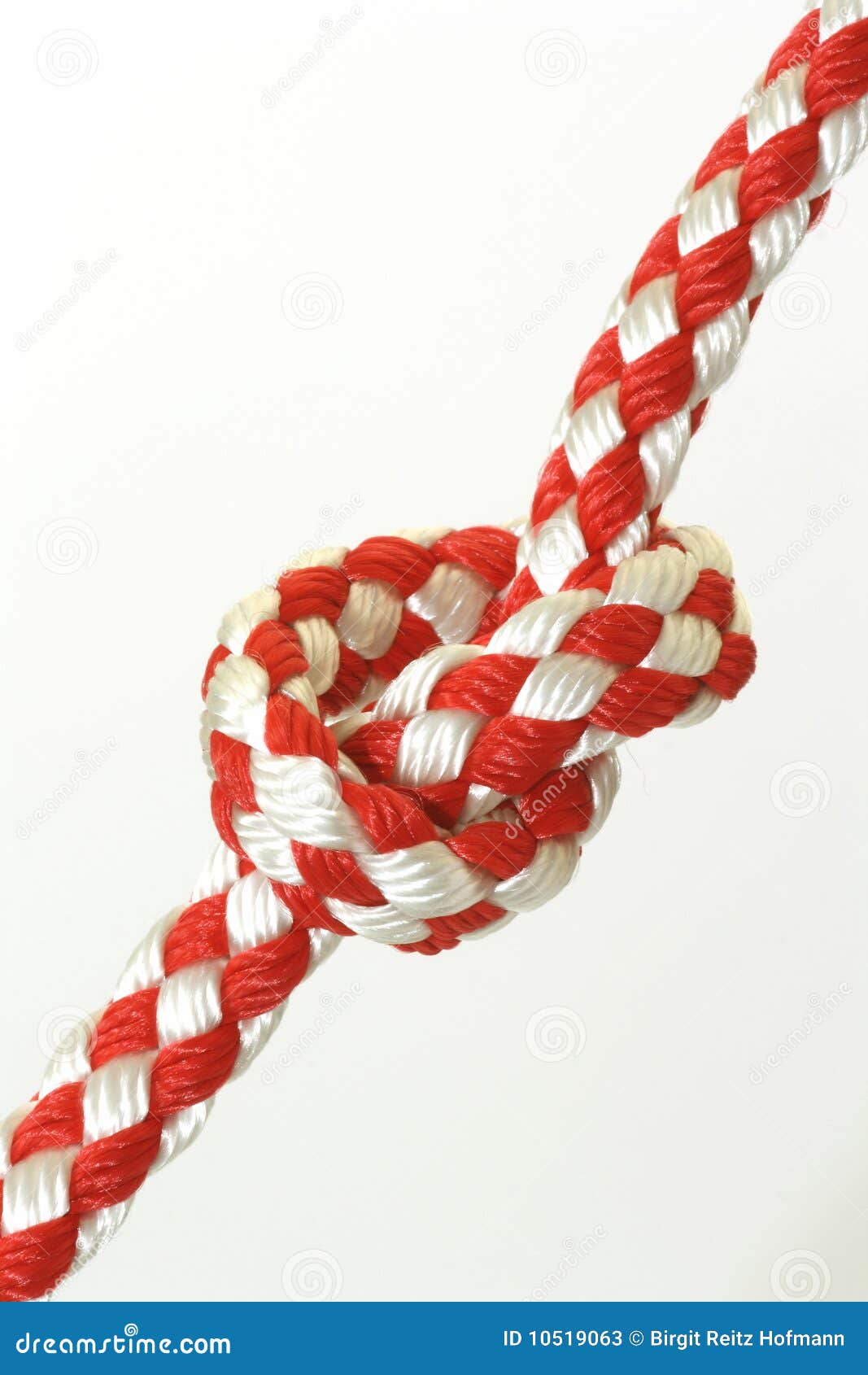 Cuerda con el nudo imagen de archivo. Imagen de idea - 10519063