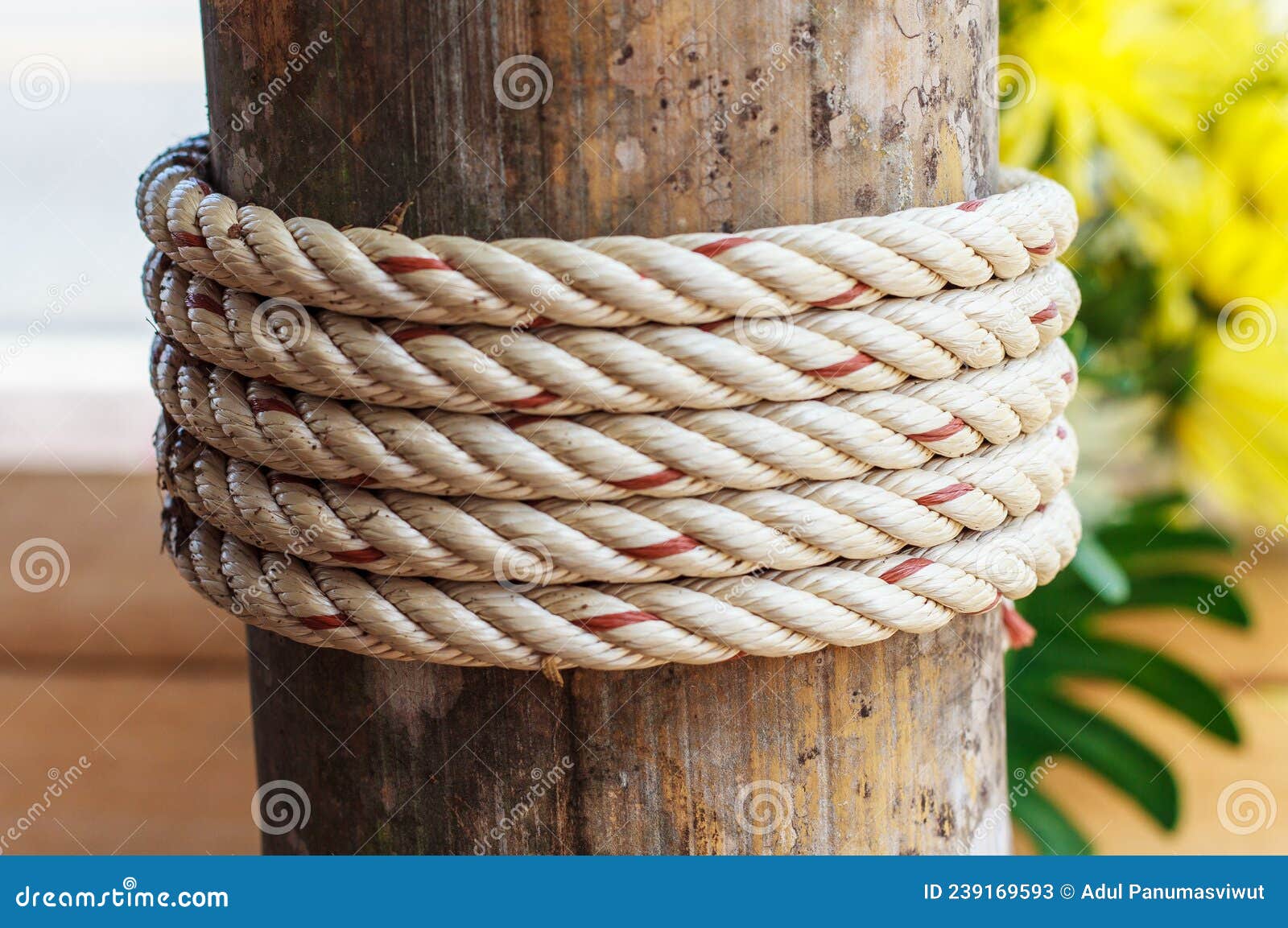 Cuerda Principal De Cuerda De Madera Atada De Cuerda. Imagen de archivo ...