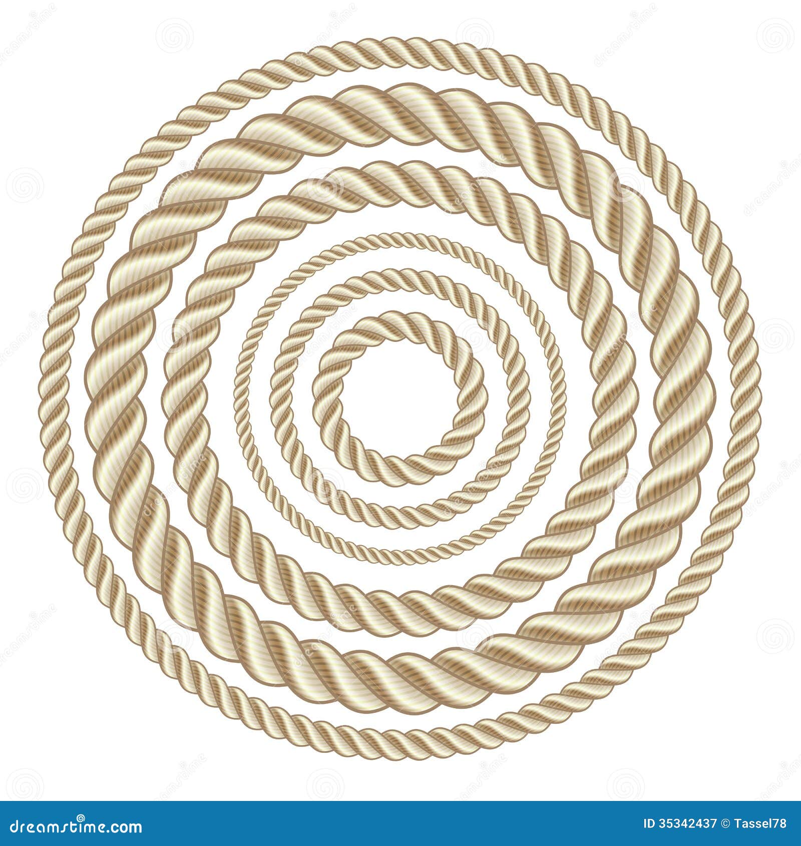 Cuerdas del círculo ilustración del vector. Ilustración de ornamento ...