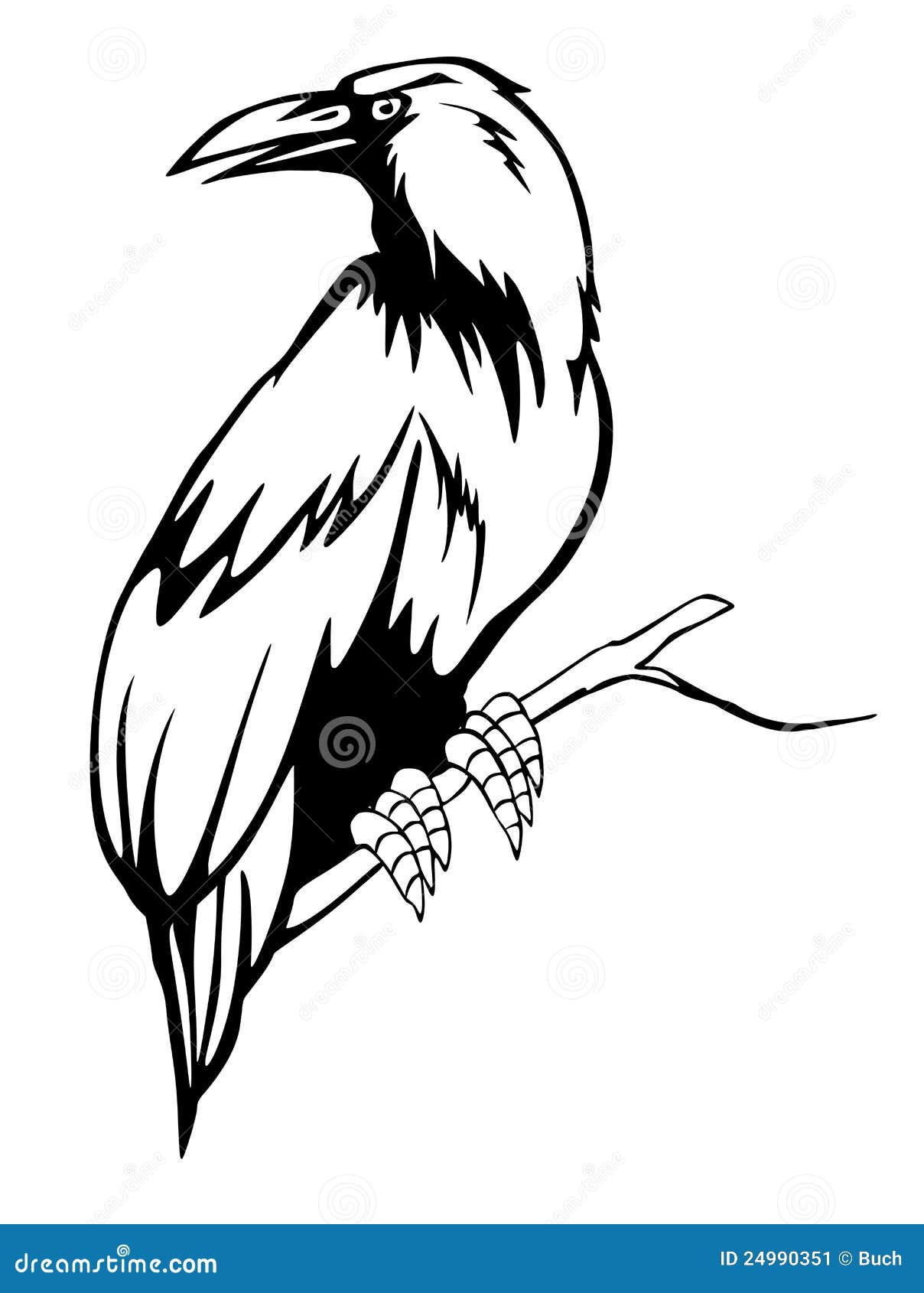 Cuervo negro ilustración del vector. Ilustración de negro - 24990351