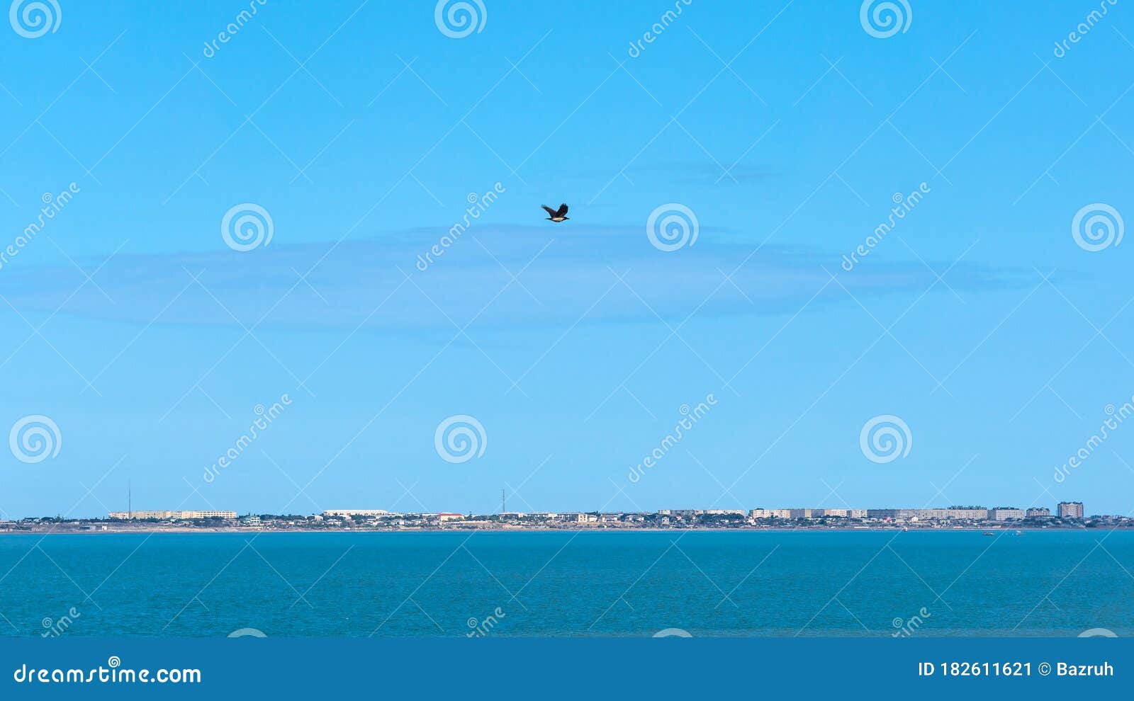 Cuervos Volando Sobre El Mar Imagen de archivo - Imagen de cuervo ...