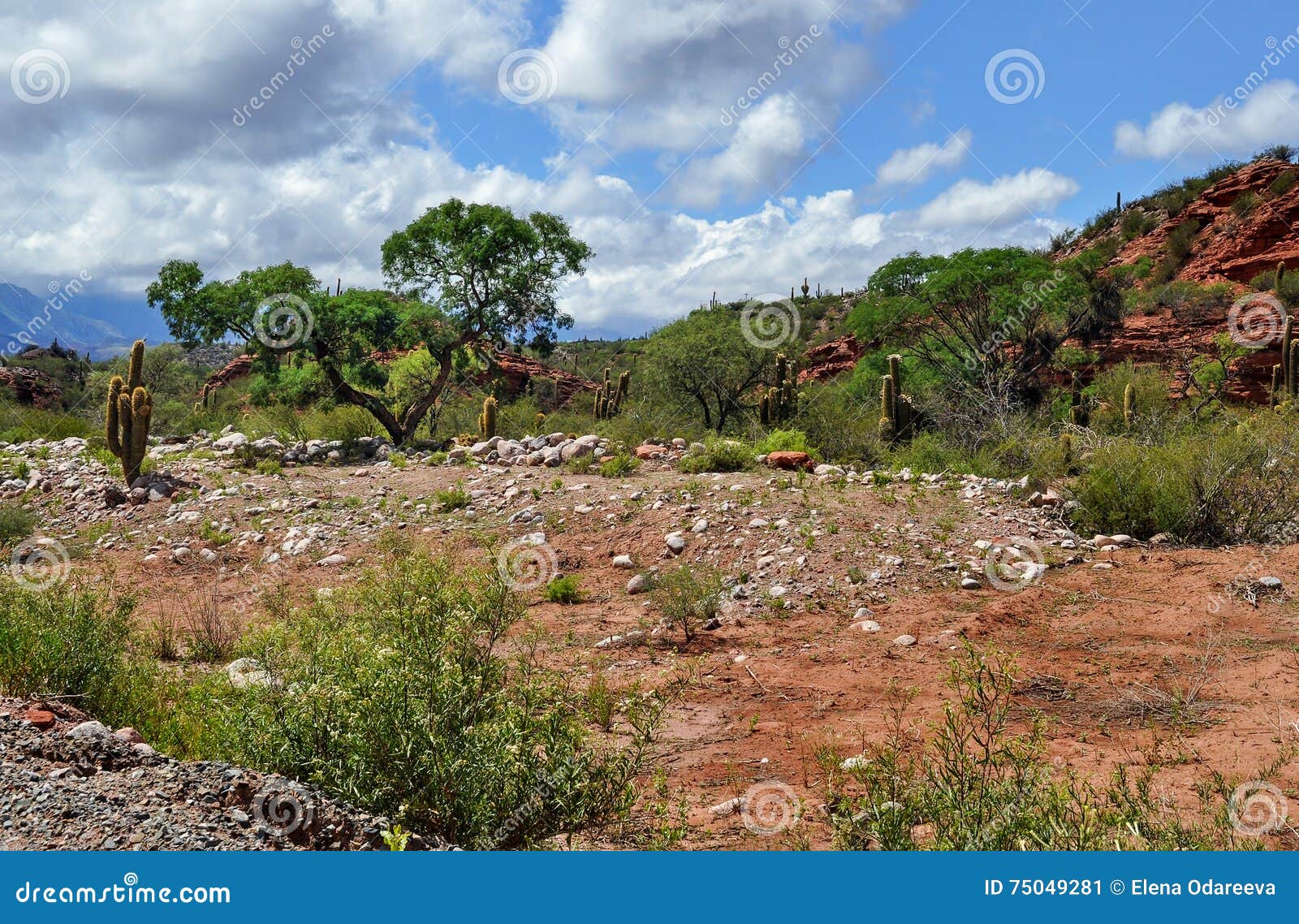 Cuesta De Miranda. La Rioja Stock Image - Image of travel, plant: 75049281 Cuesta De Miranda. La Rioja Stock Image - Image of travel, plant: 75049281
