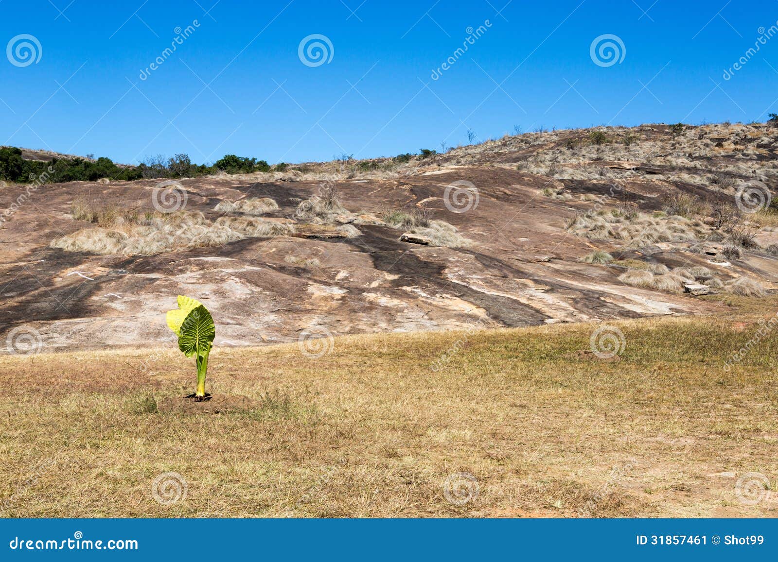 Cuevas de Domboshawa imagen de archivo. Imagen de recorrido - 31857461