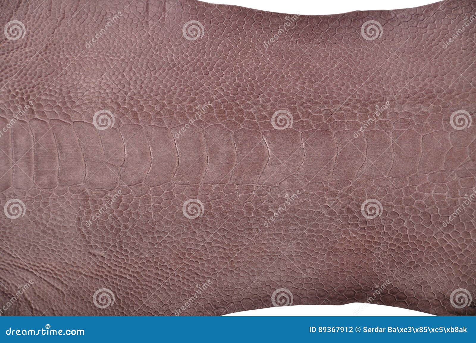 Cuir de jambe d'autruche photo stock. Image du oiseau - 89367912