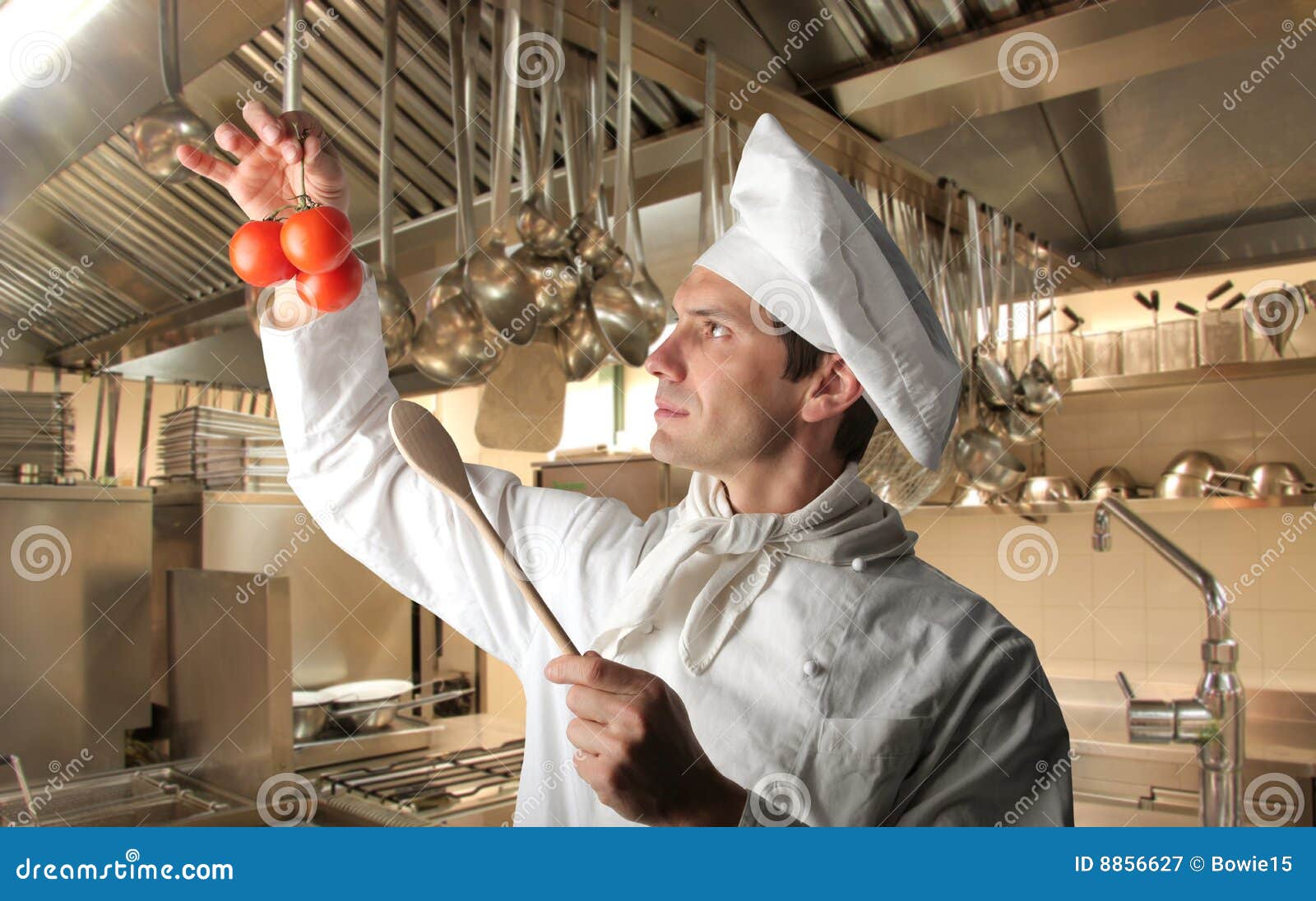 Cuisinier image stock. Image du déjeuner, type, frais - 8856627