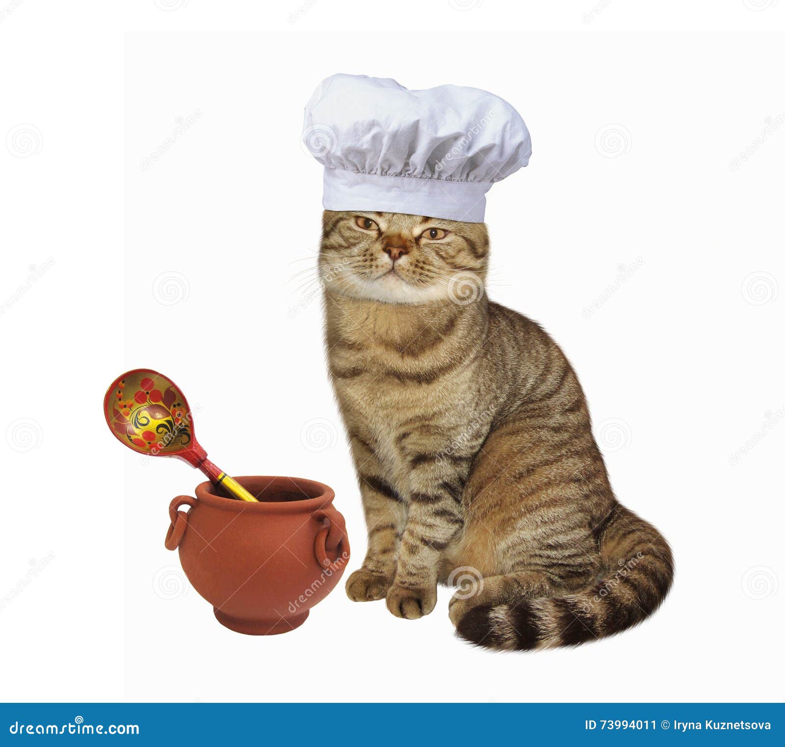 Cuisinier De Chat Dans Le Chapeau De Chef Image stock - Image du ...