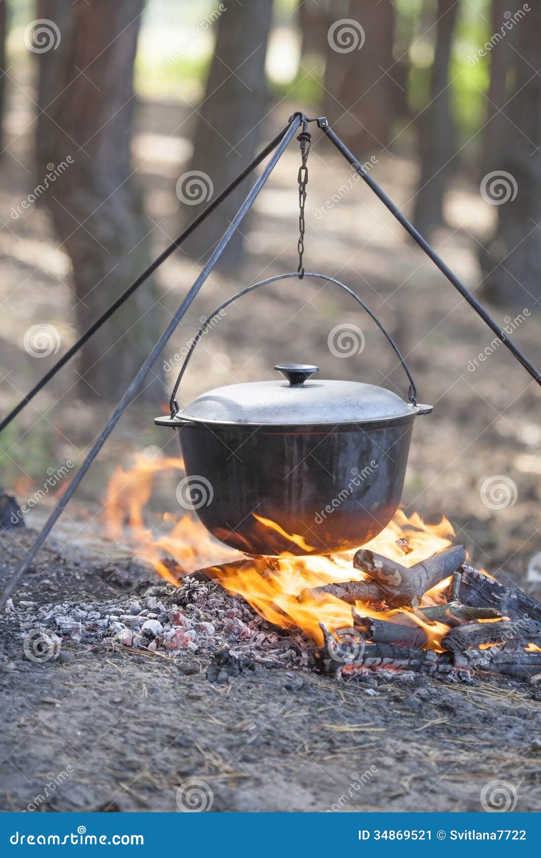 Cuisson de feu de camp. image stock. Image du camper - 34869521