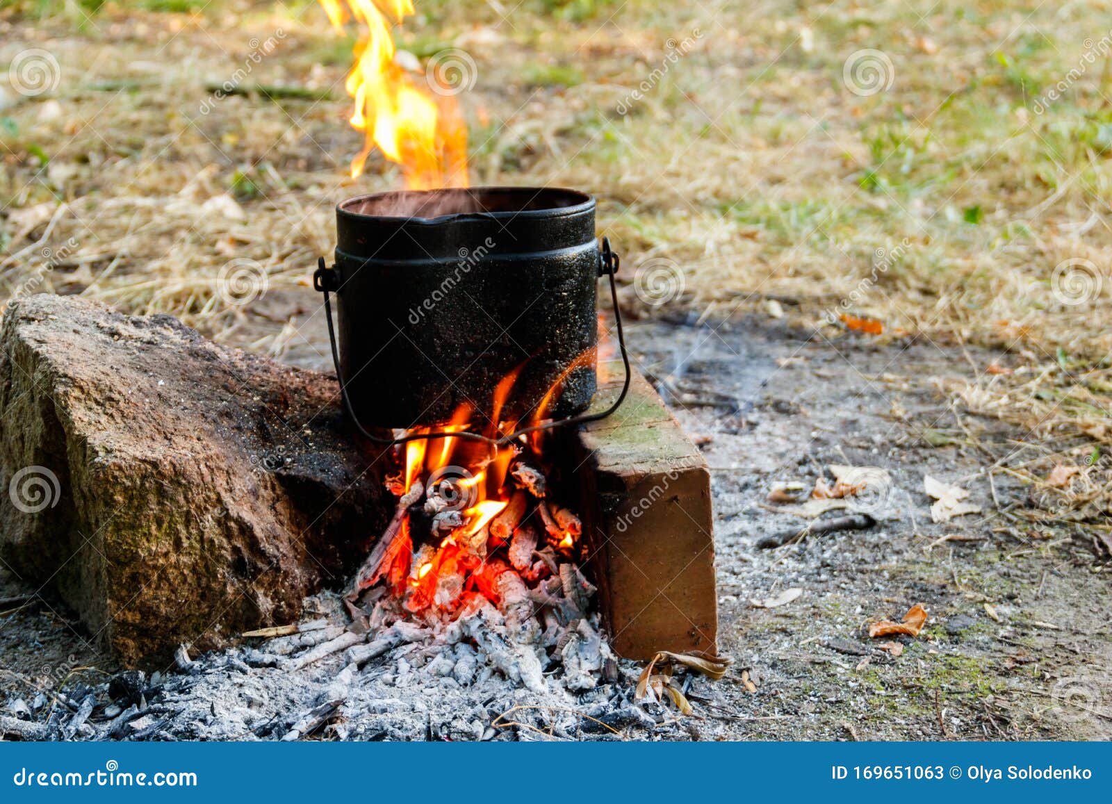 Cuisson Sur Le Feu De Camp Dans Le Camping Image stock - Image du repas ...