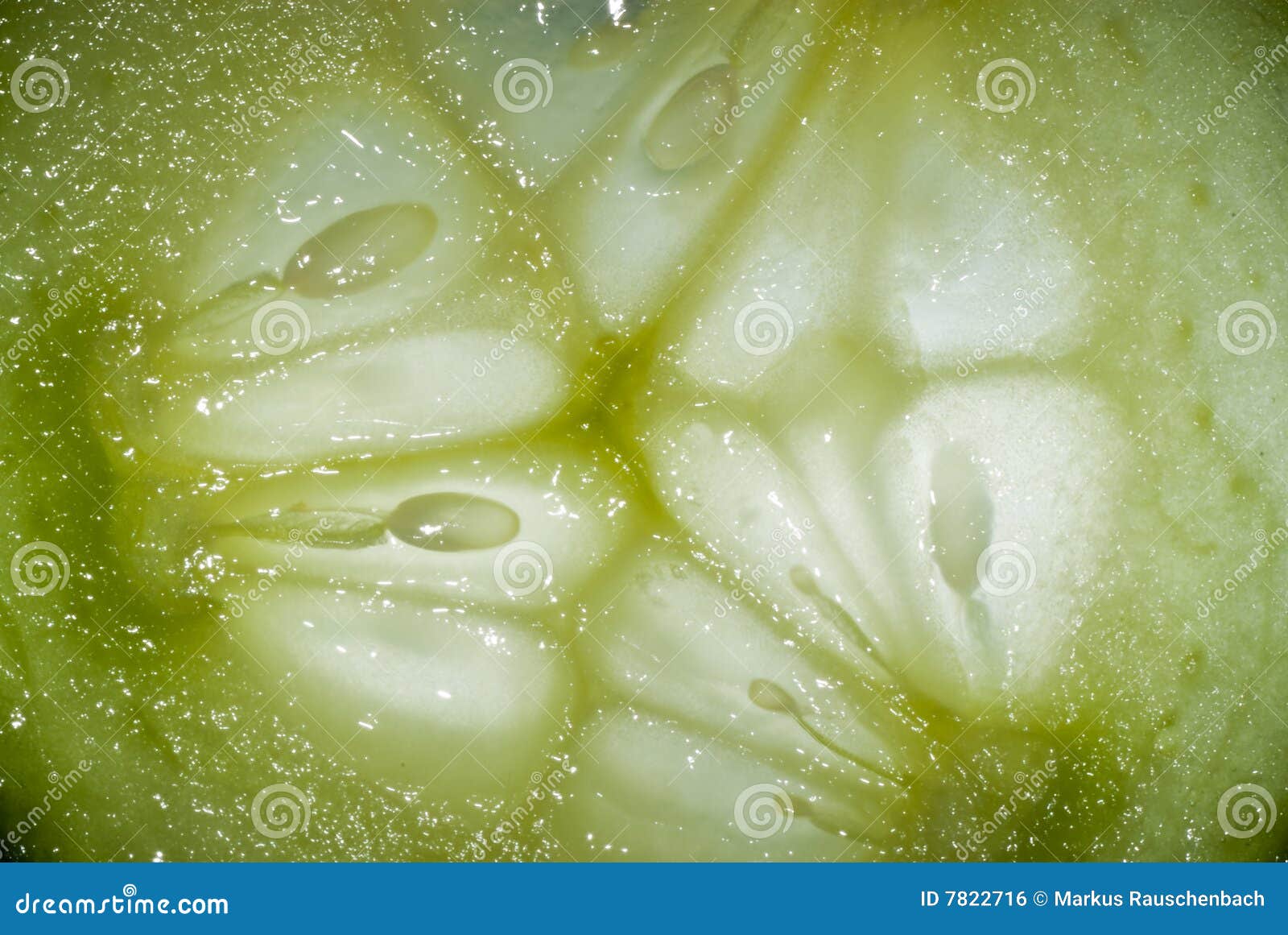 Cuke Background stock photo. Image of slice, detail, background - 7822716