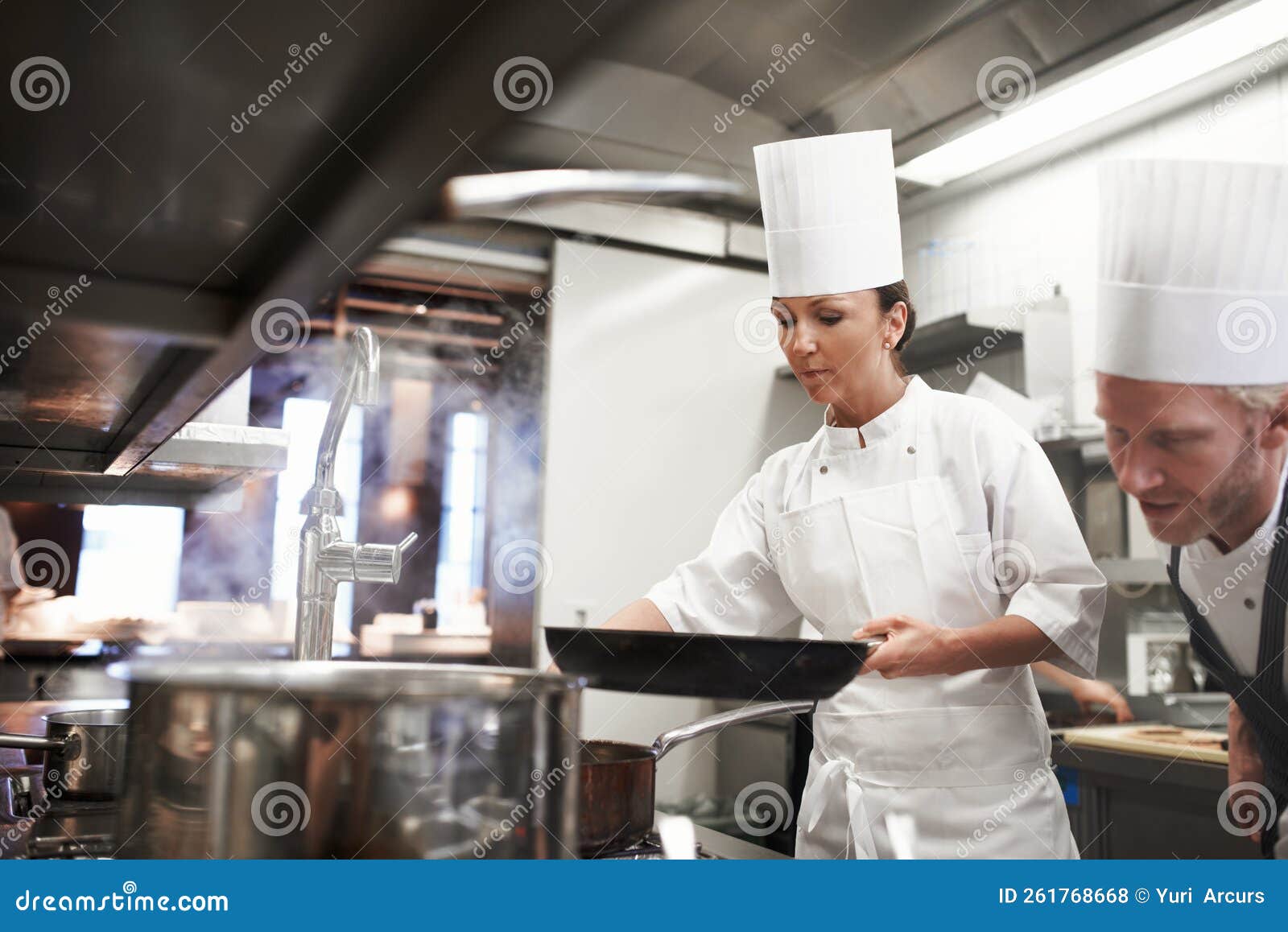 Culinary Master at Work. the Inner Working of a Professional Kitchen ...