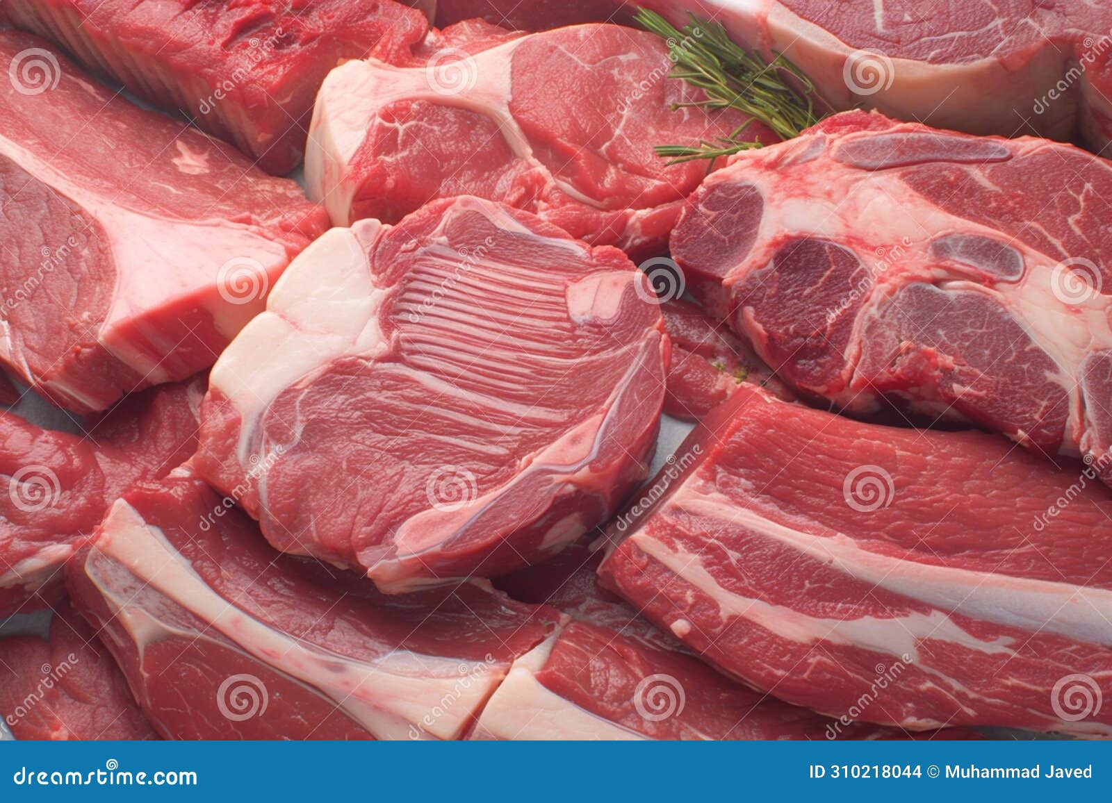 Culinary Selection Assorted Raw Meat Cuts Presented in a Variety Stock ...
