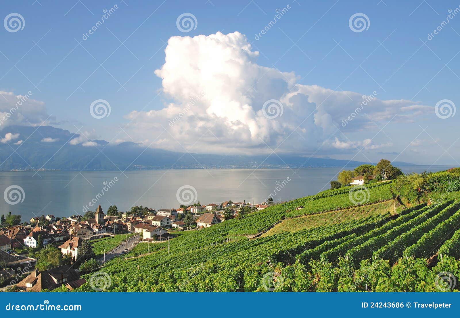 260 Cully Fotos - Kostenlose und Royalty-Free Stock-Fotos von Dreamstime