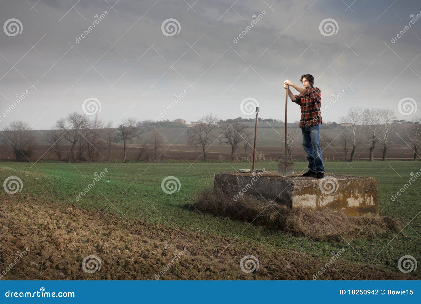 Cultivate stock photo. Image of green, loudy, health - 18250942