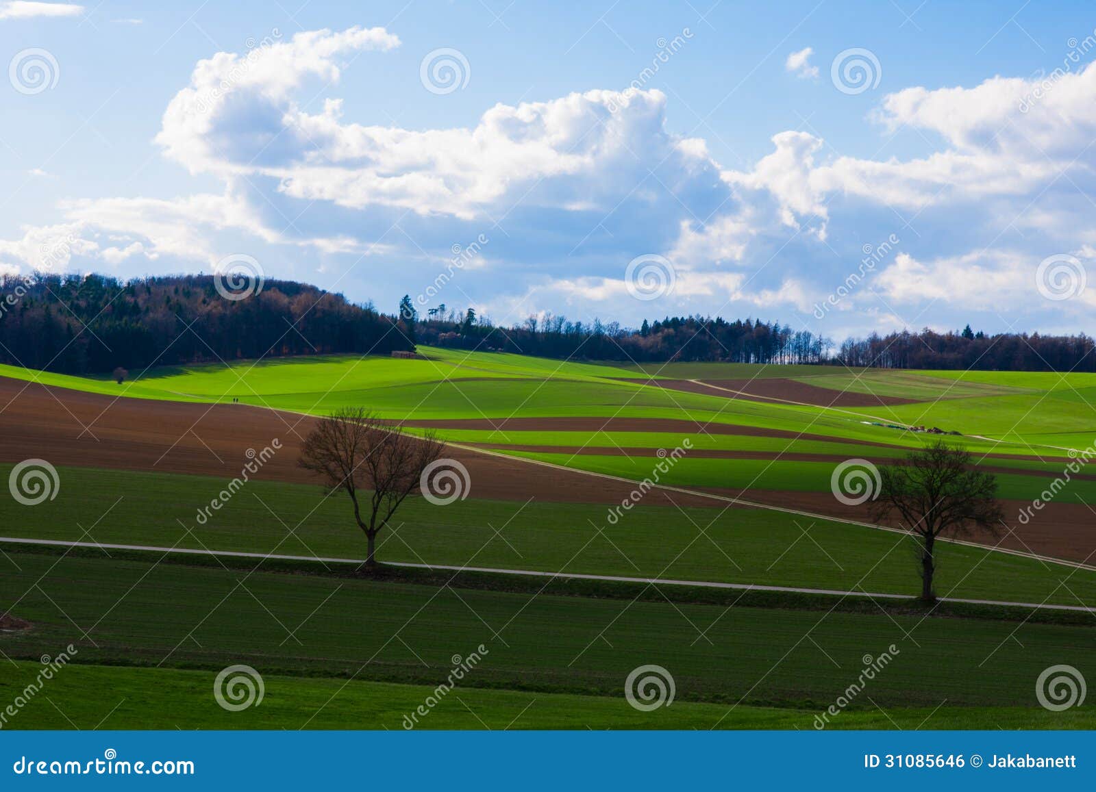 Cultivated area stock photo. Image of lonely, breathtaking - 31085646