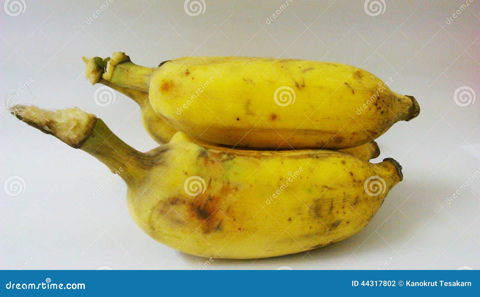 Cultivated banana stock photo. Image of fruit, backyard - 44317802