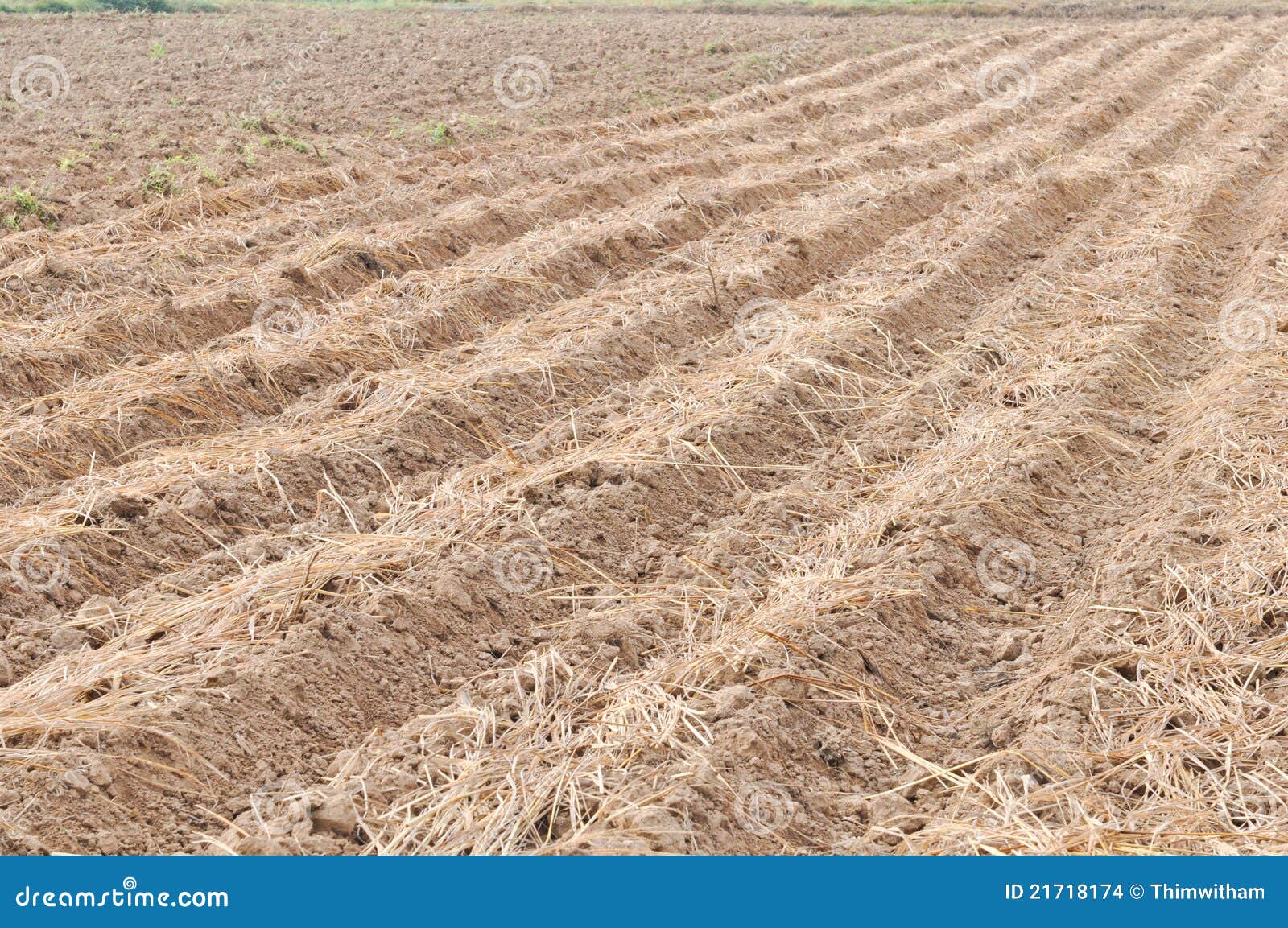 Cultivated Brown Dried Field Stock Photo - Image of farmland, natural ...