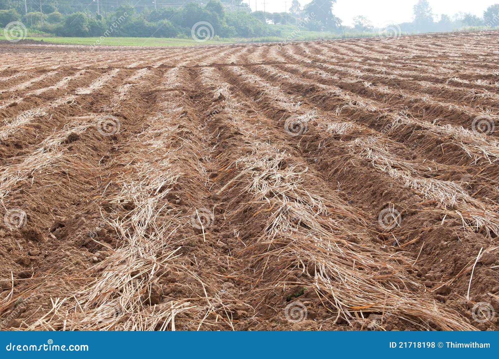 Cultivated Brown Dried Field Stock Photo - Image of farm, pattern: 21718198