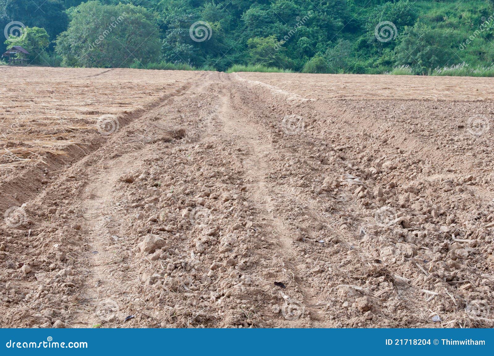 Cultivated Brown Dried Field Stock Photo - Image of natural, rural ...