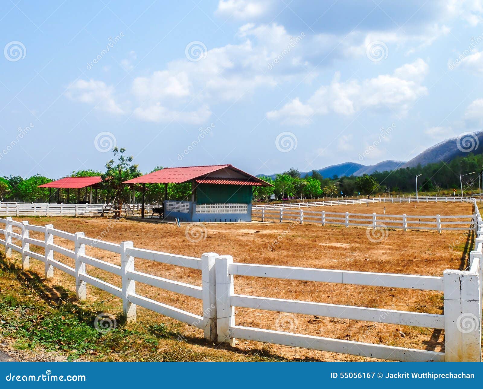 Cultivated Farm in Sunny Day Stock Image - Image of cultivated ...