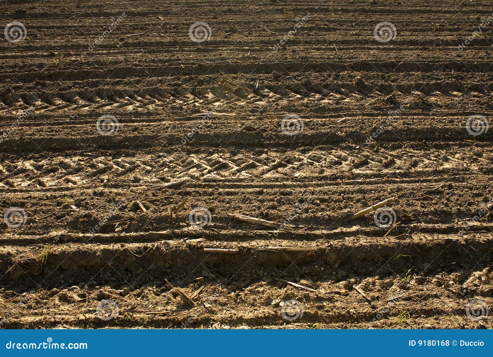 Cultivated field stock photo. Image of ecology, samiato - 9180168
