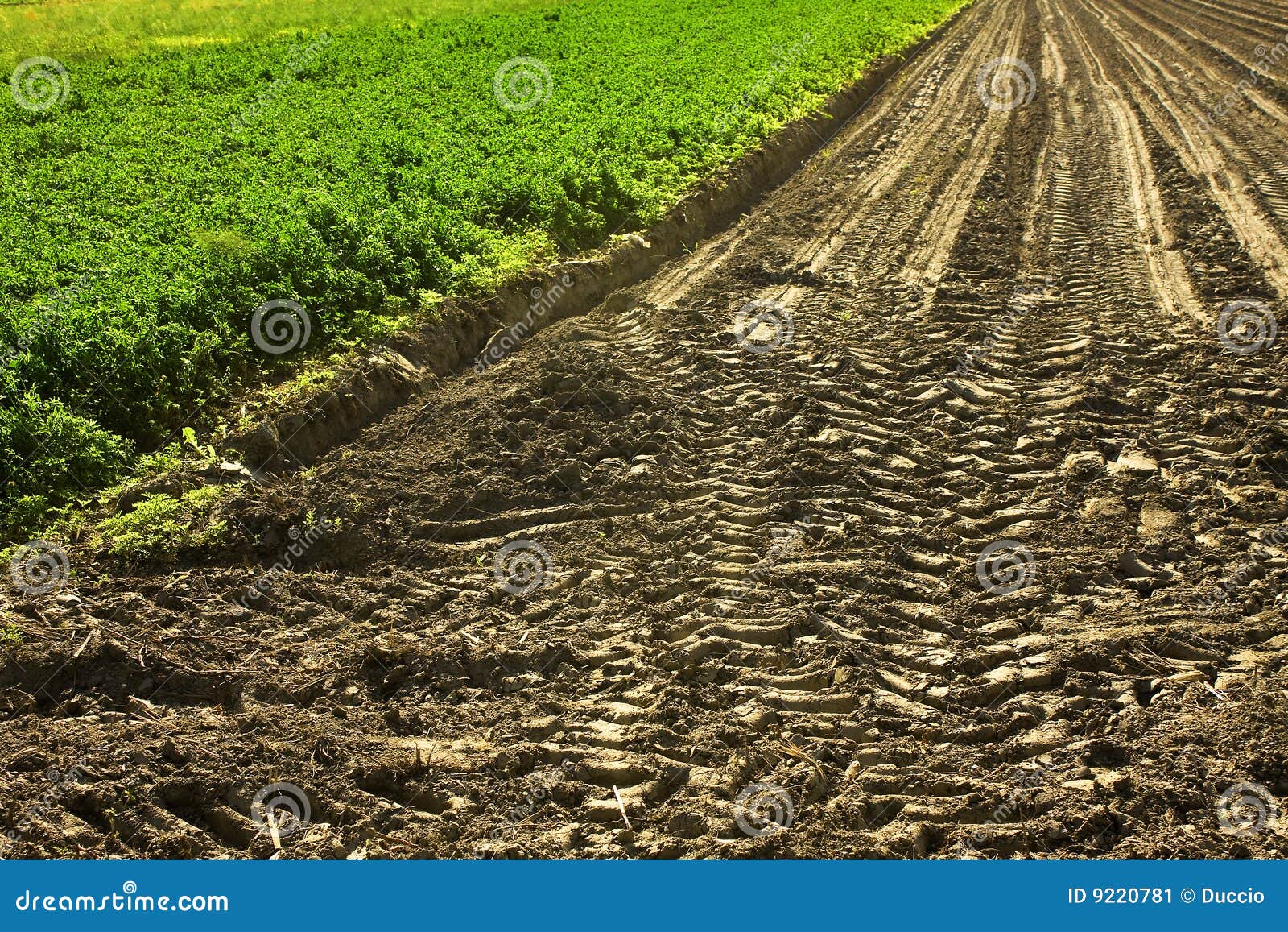 Cultivated field stock image. Image of imprints, campaign - 9220781