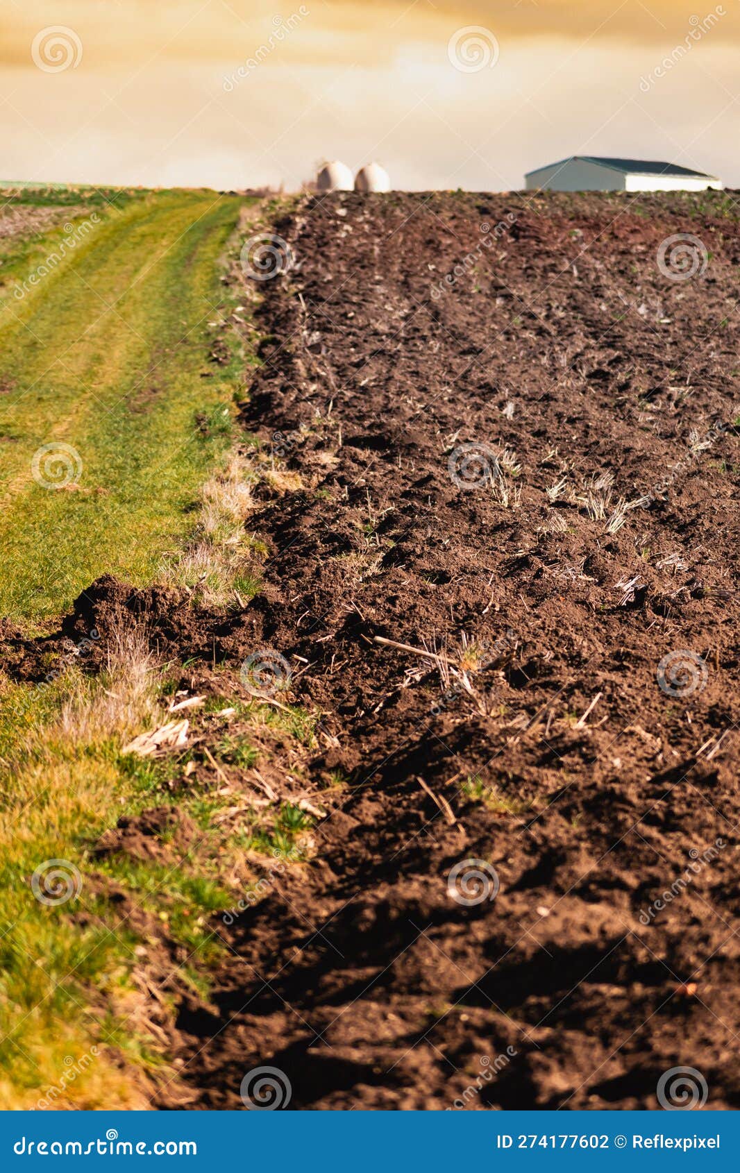 Cultivated Field Freshly Ploughed by Sunny Day Stock Photo - Image of ...
