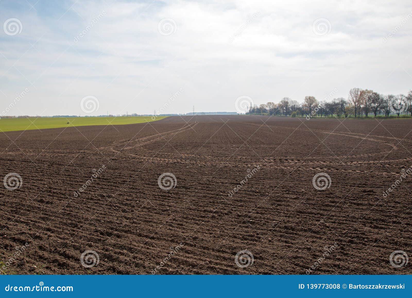 A Cultivated Field Growing Out of the Ground Stock Photo - Image of ...