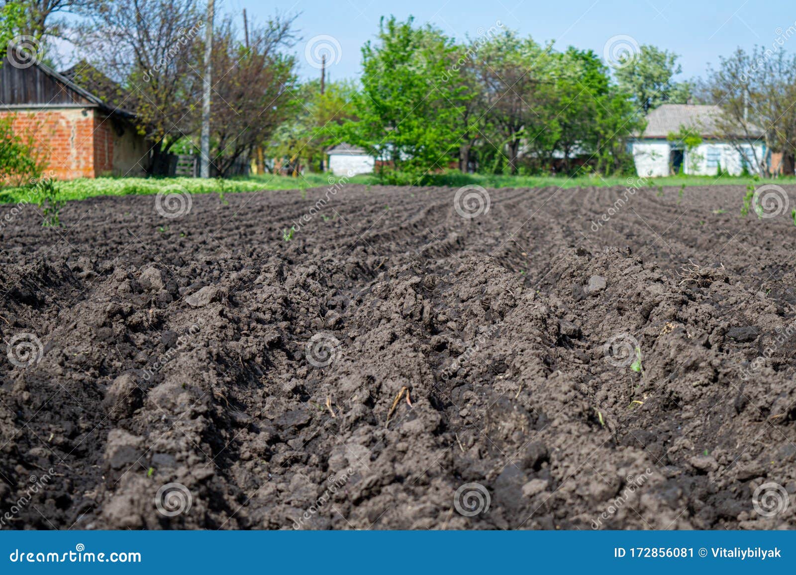 Cultivated field stock image. Image of agronomy, environment - 172856081
